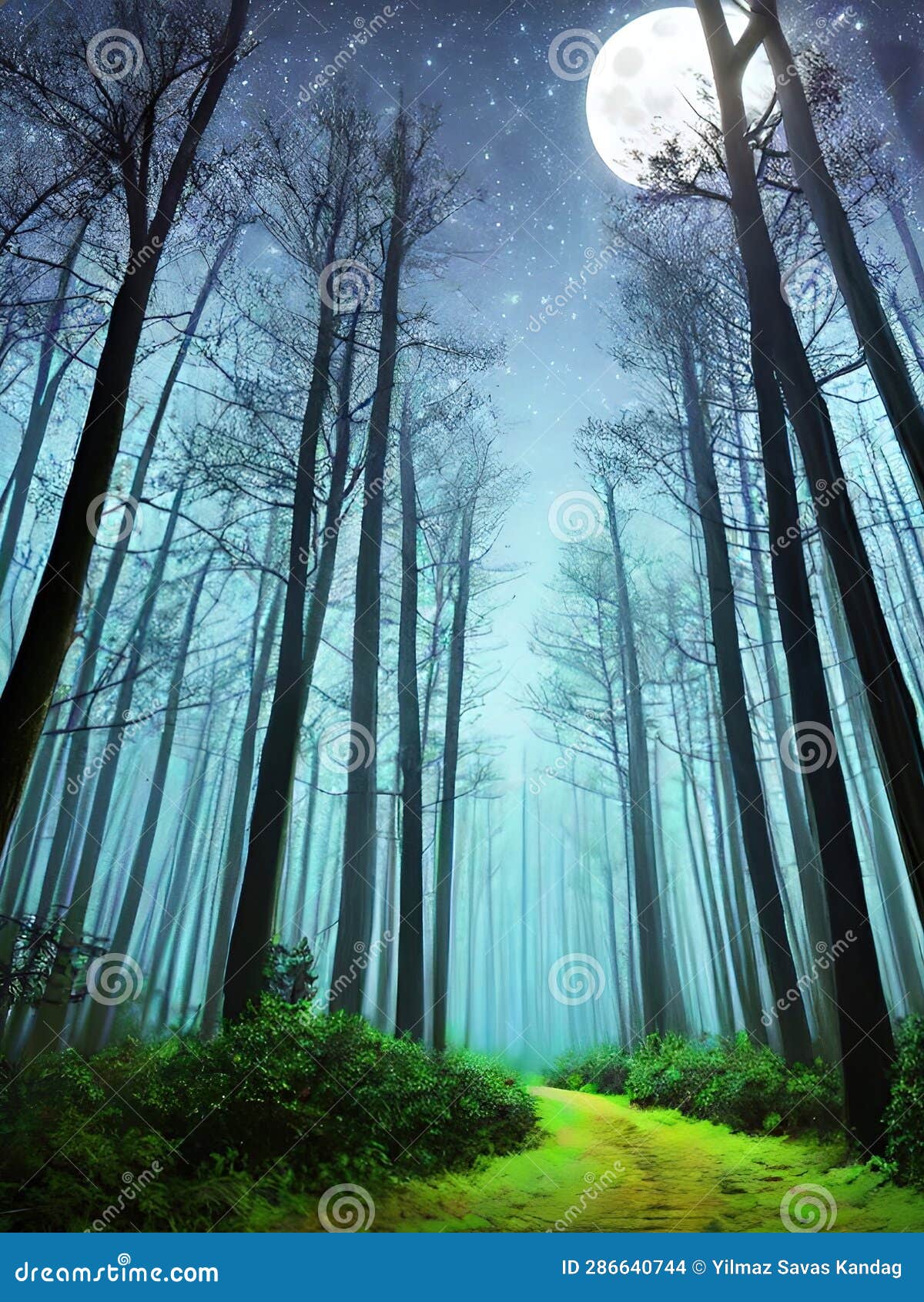Fantasy Forest at Night with Full Moon in the Sky. Stock Illustration ...