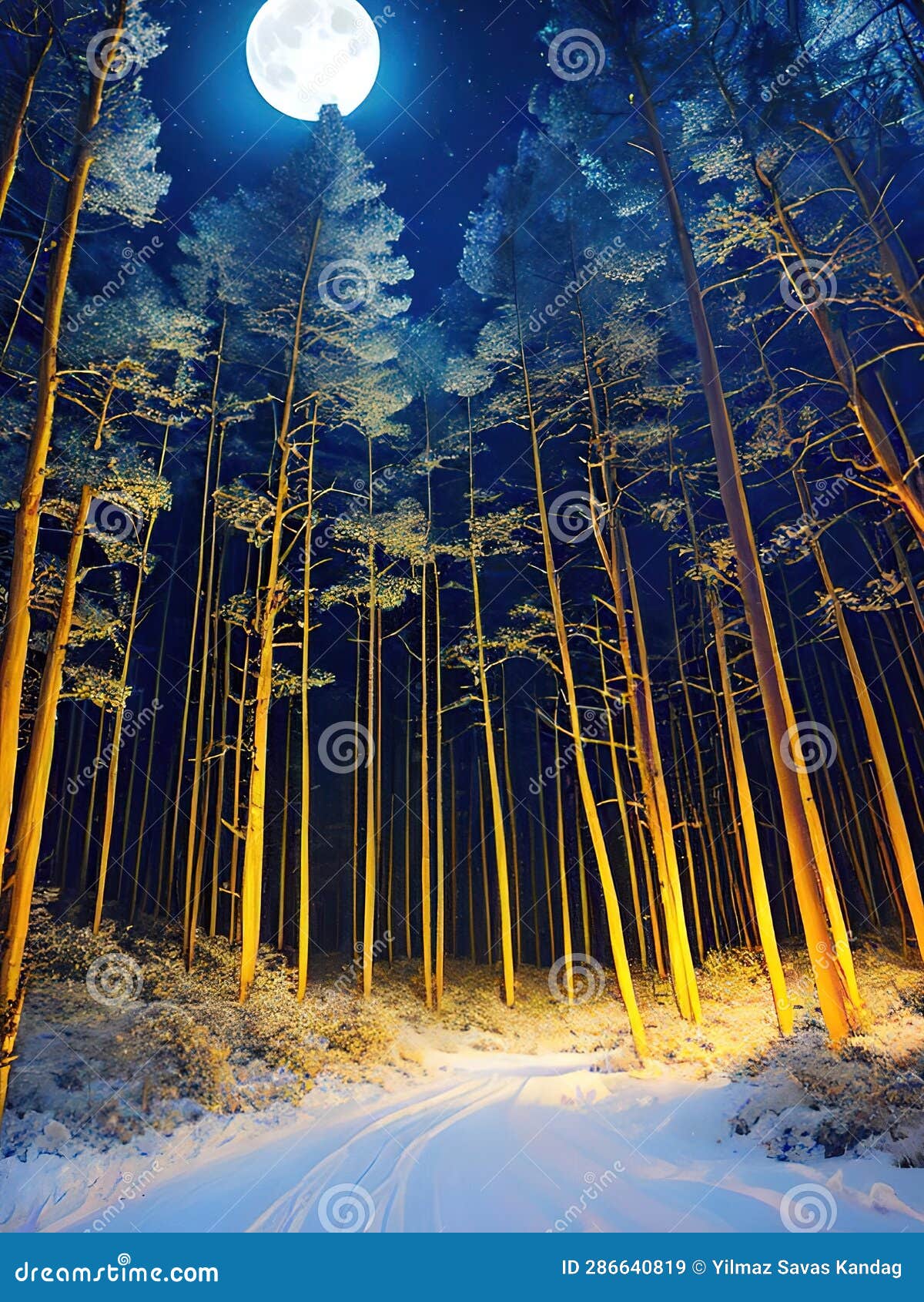 Fantasy Forest at Night with Full Moon in the Sky. Stock Illustration ...