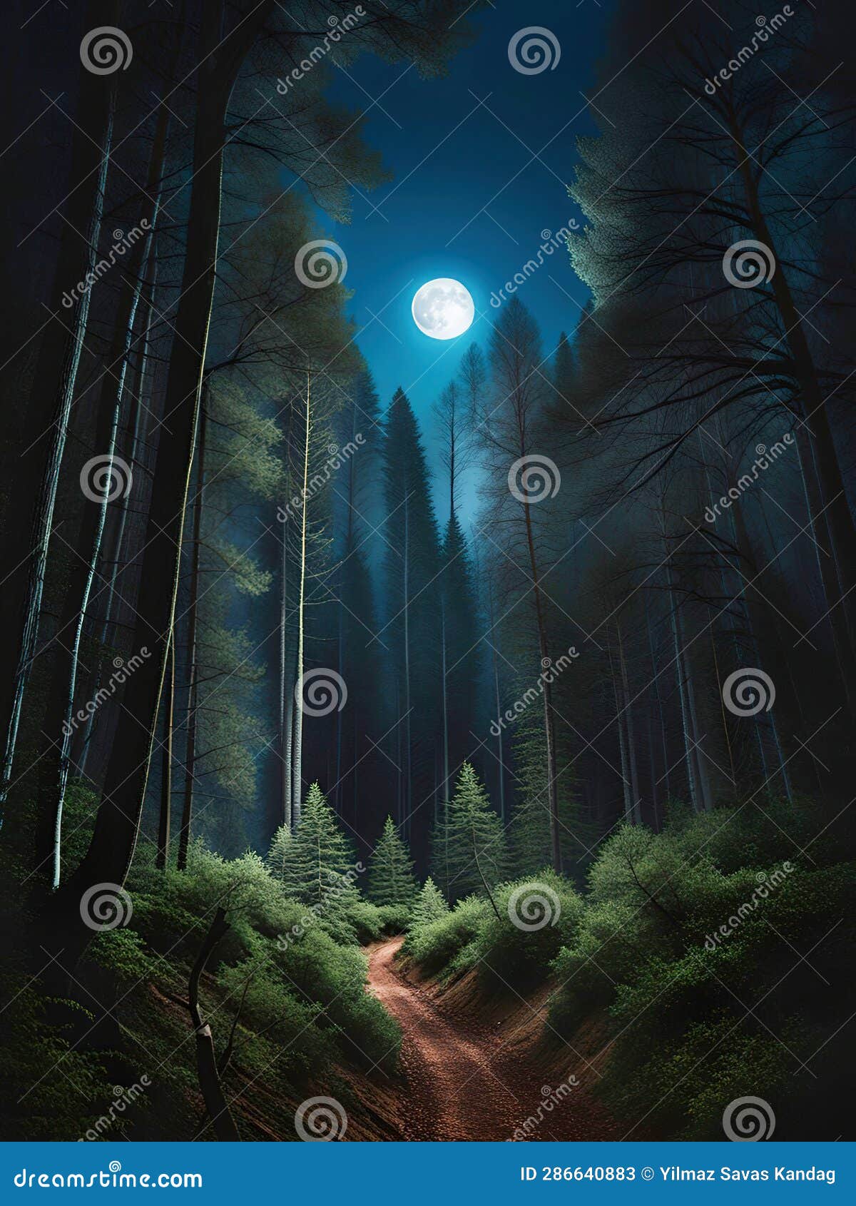 Fantasy Forest at Night with Full Moon in the Sky. Stock Illustration ...