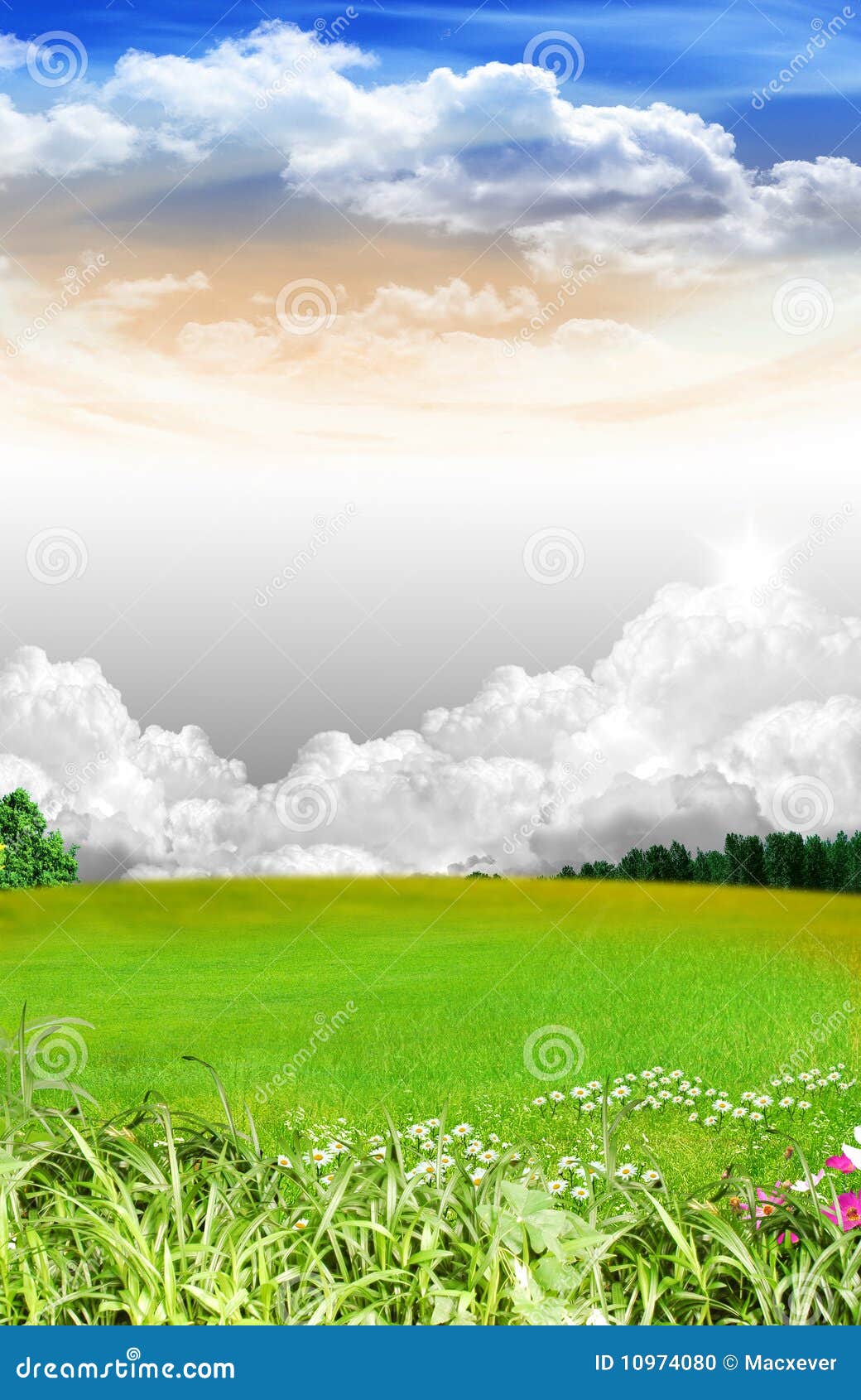 Fantasy grass field stock illustration. Illustration of wheel - 10974080
