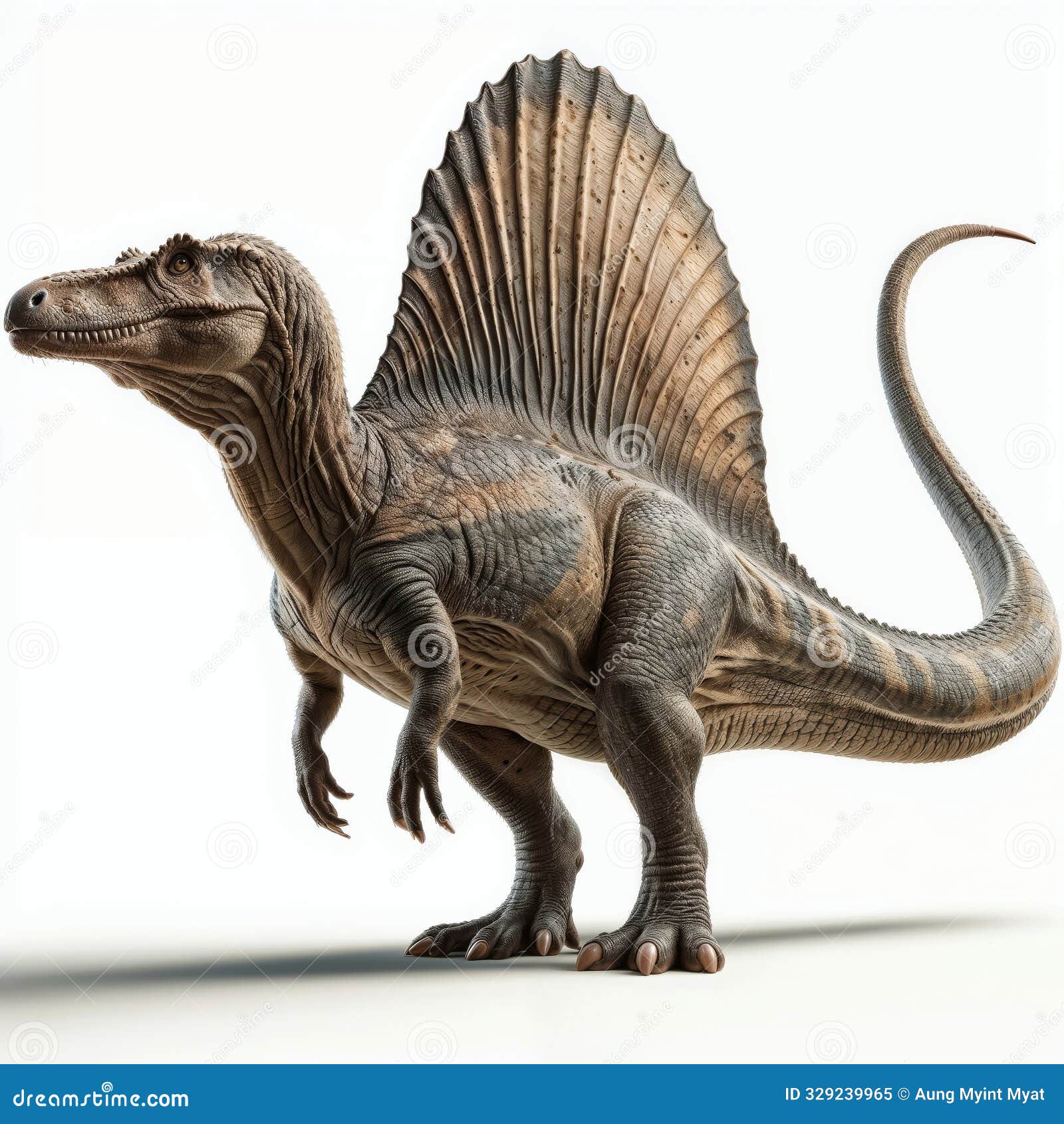 Spinosaurus Size Comparison Royalty-Free Stock Image | CartoonDealer ...