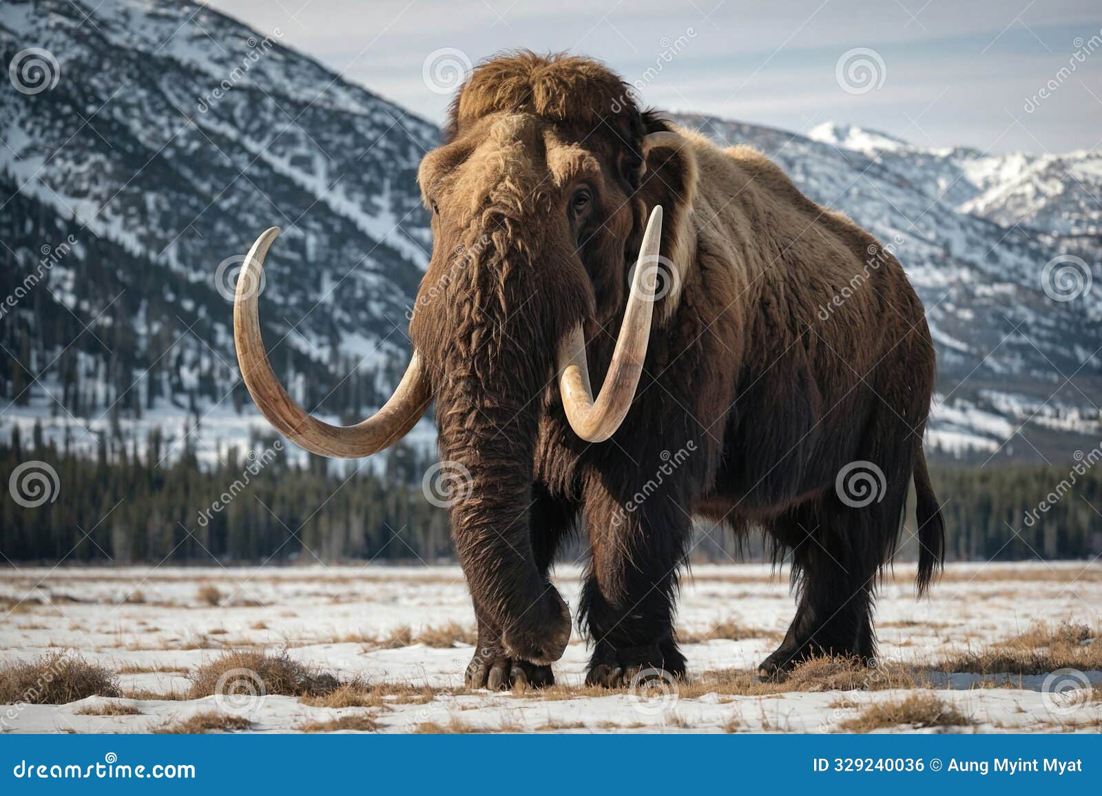 Mammoth Elephant Dinosaur Ancient Vector Illustration Transparent ...