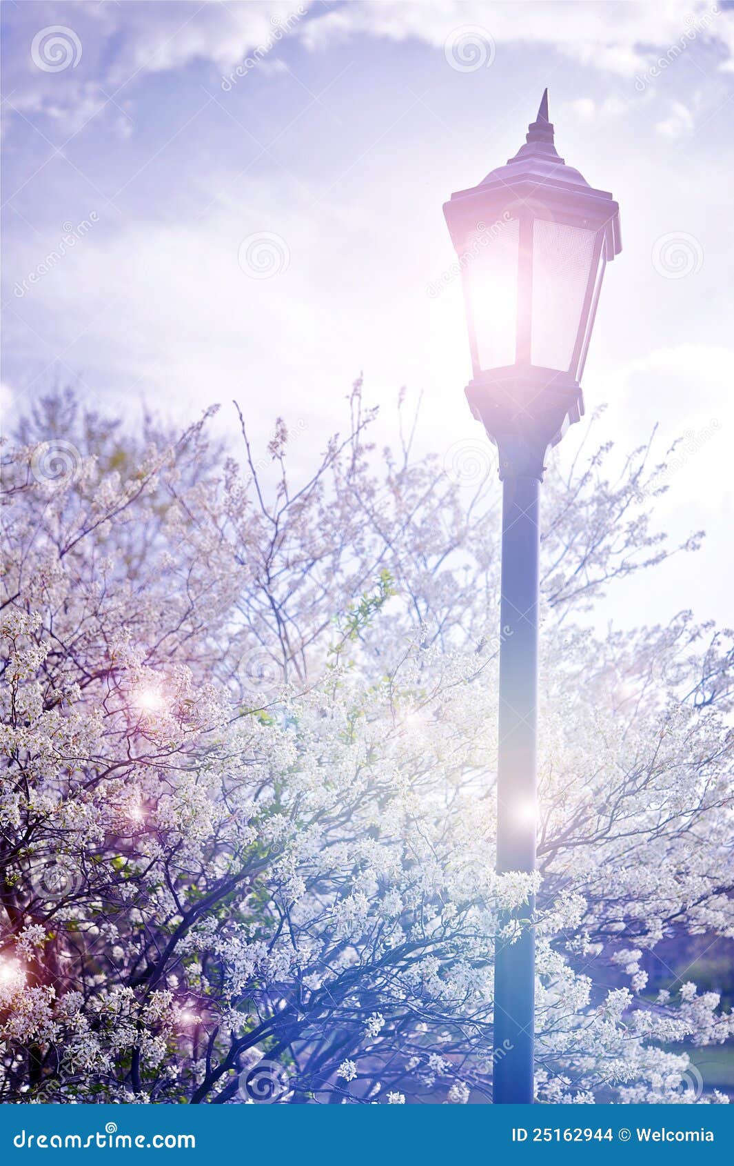 Fantasy Lantern stock photo. Image of street, pinky, fantasy - 25162944