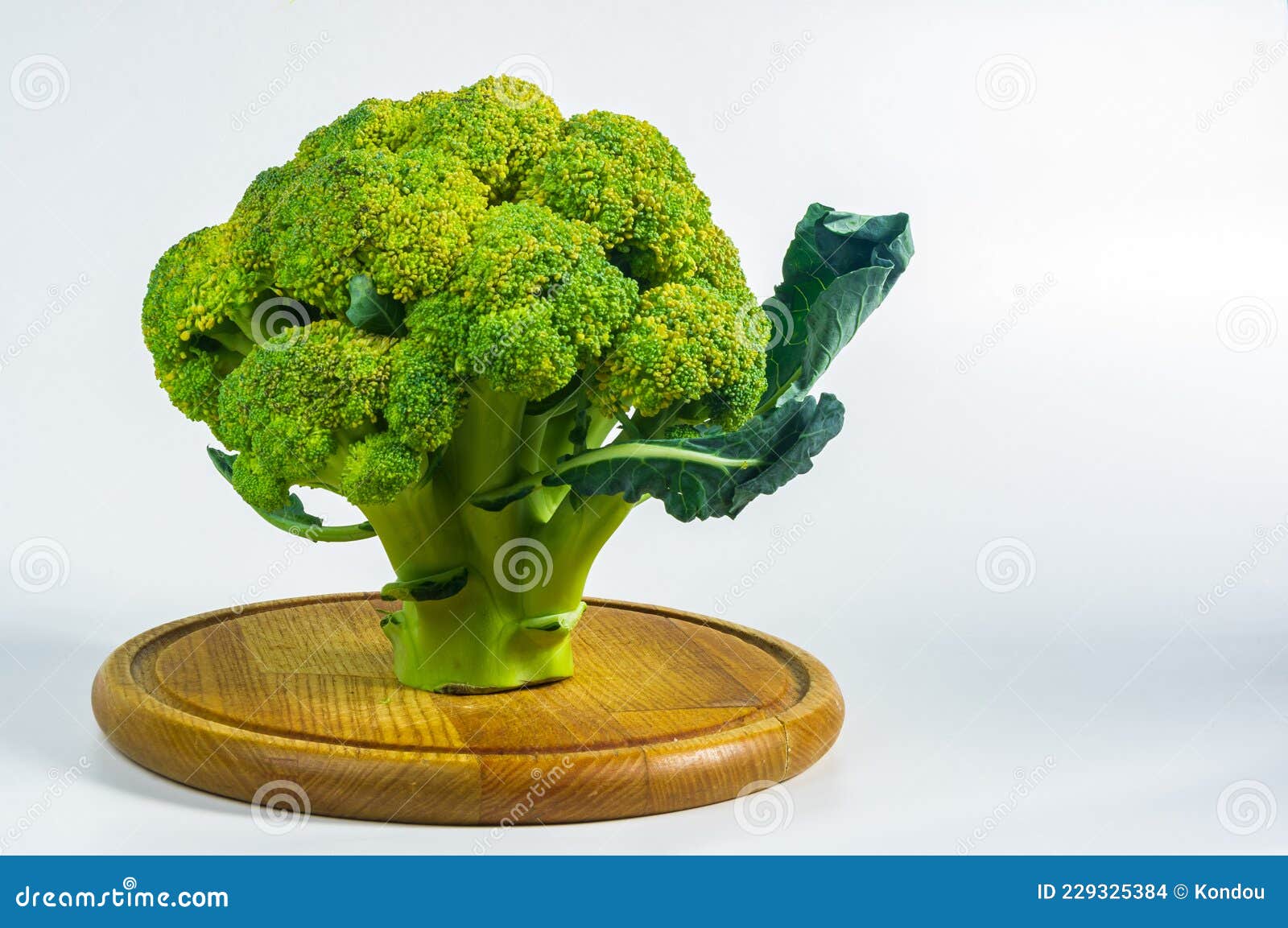 Fantasy Mini Landscape - Trees Made With Broccoli On A Black Background ...