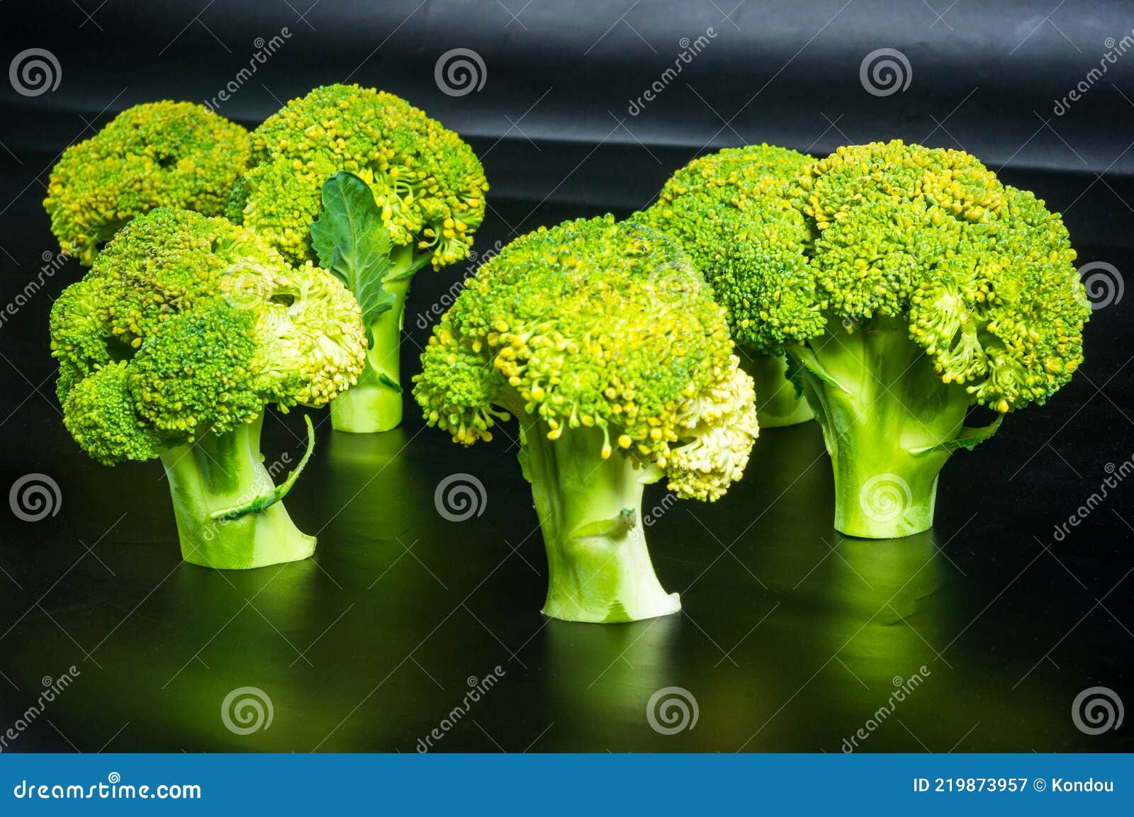 Fantasy Mini Landscape - Trees Made With Broccoli On A Black Background ...