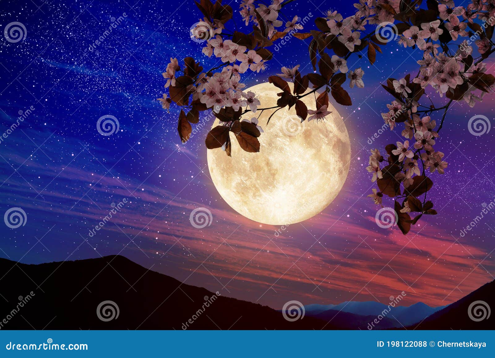 Fantasy Night. Blossoming Cherry Tree Branch and Starry Sky with Full ...