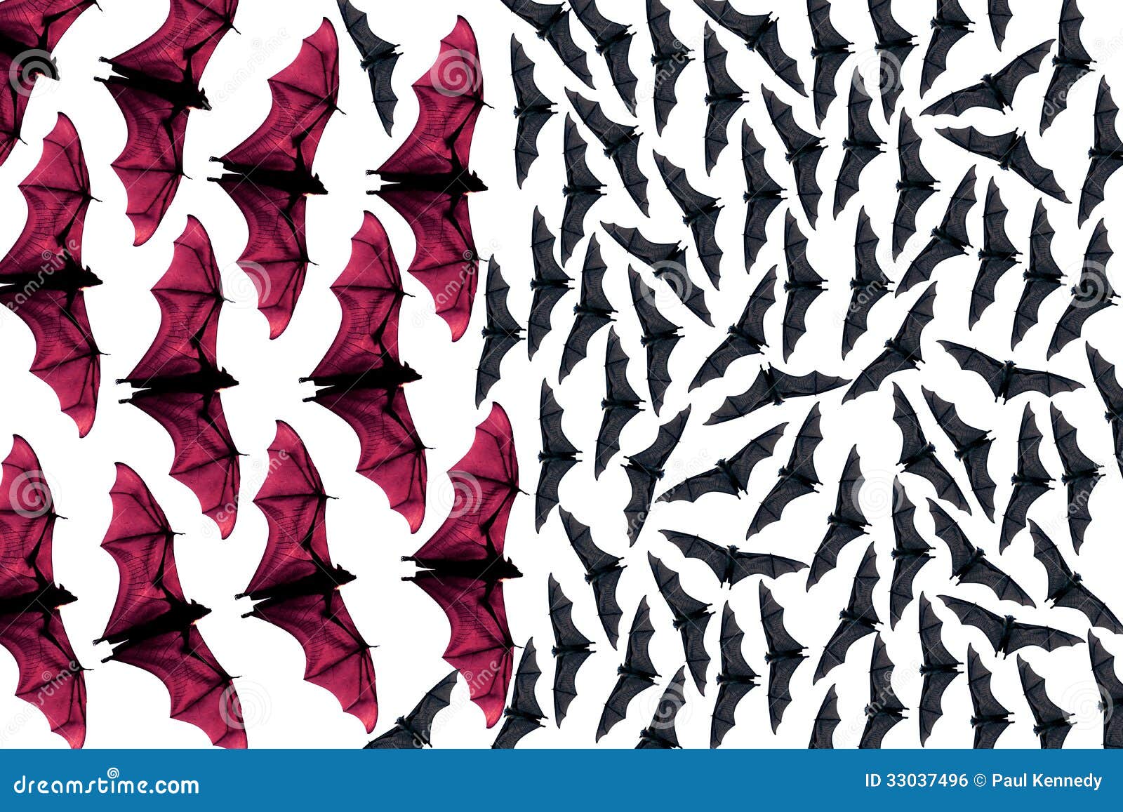 Black Bats Vector Silhouettes Set | CartoonDealer.com #61114163