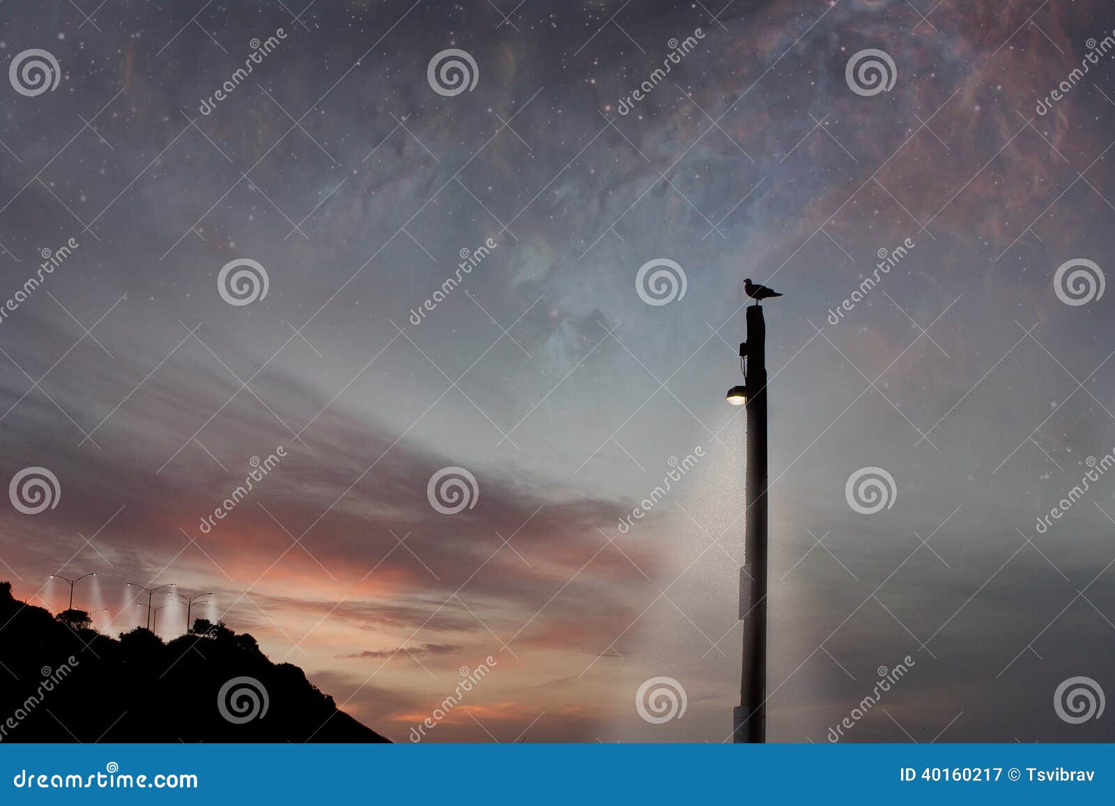 Fantasy Scene with Bird Standing on a Light Pole Stock Image - Image of ...
