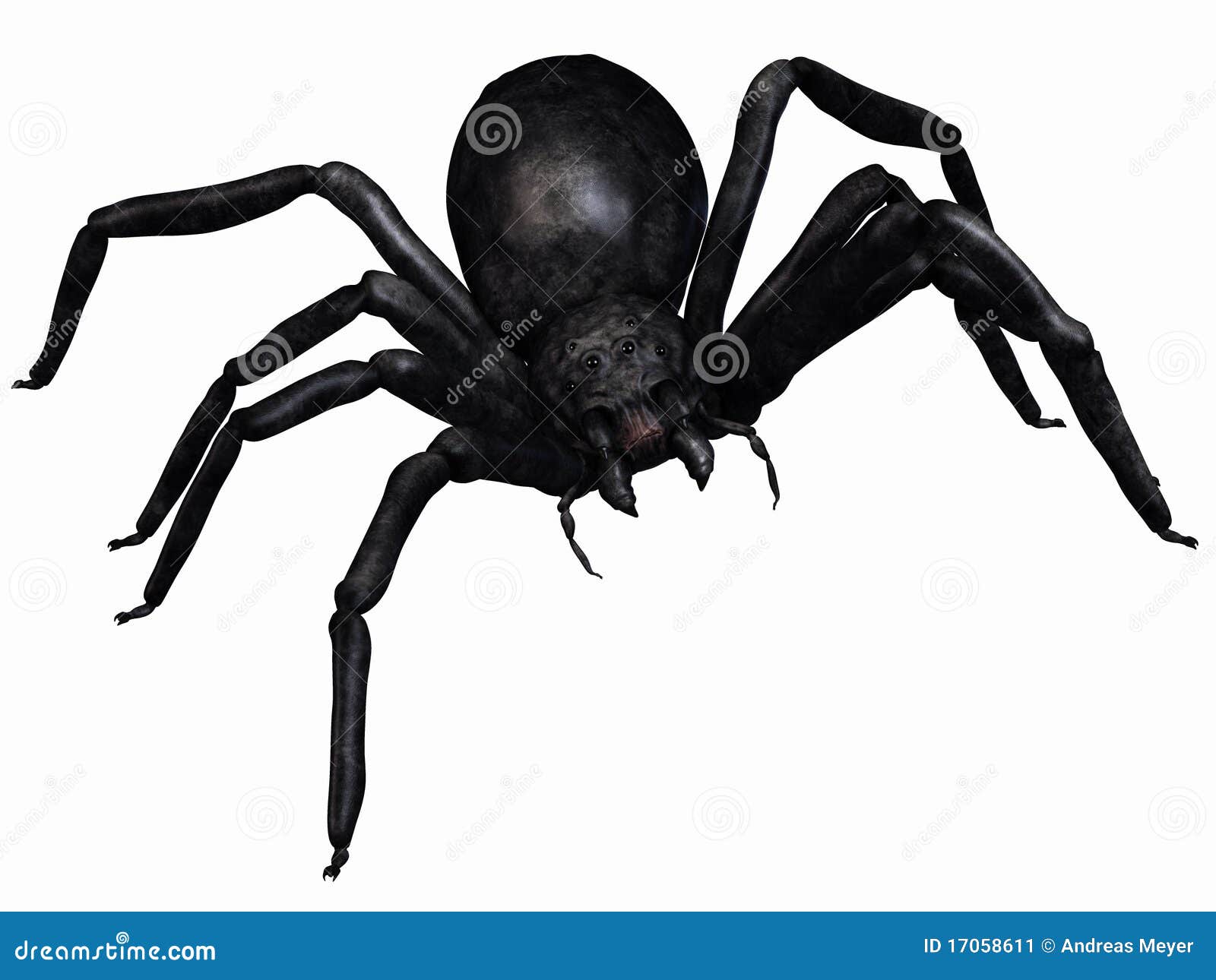 Fantasy Spider With Shadow On The Floor - Sideview From Left On White ...