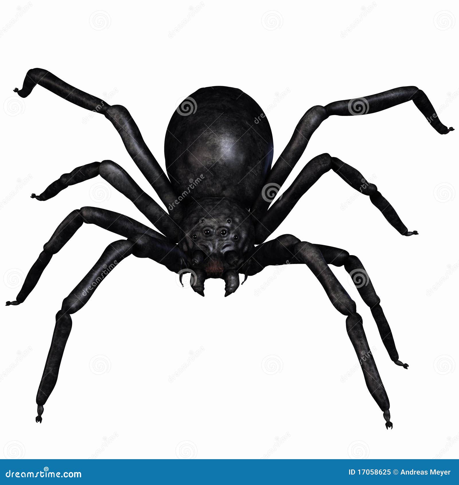 Fantasy Spider With Shadow On The Floor - Sideview From Left On White ...