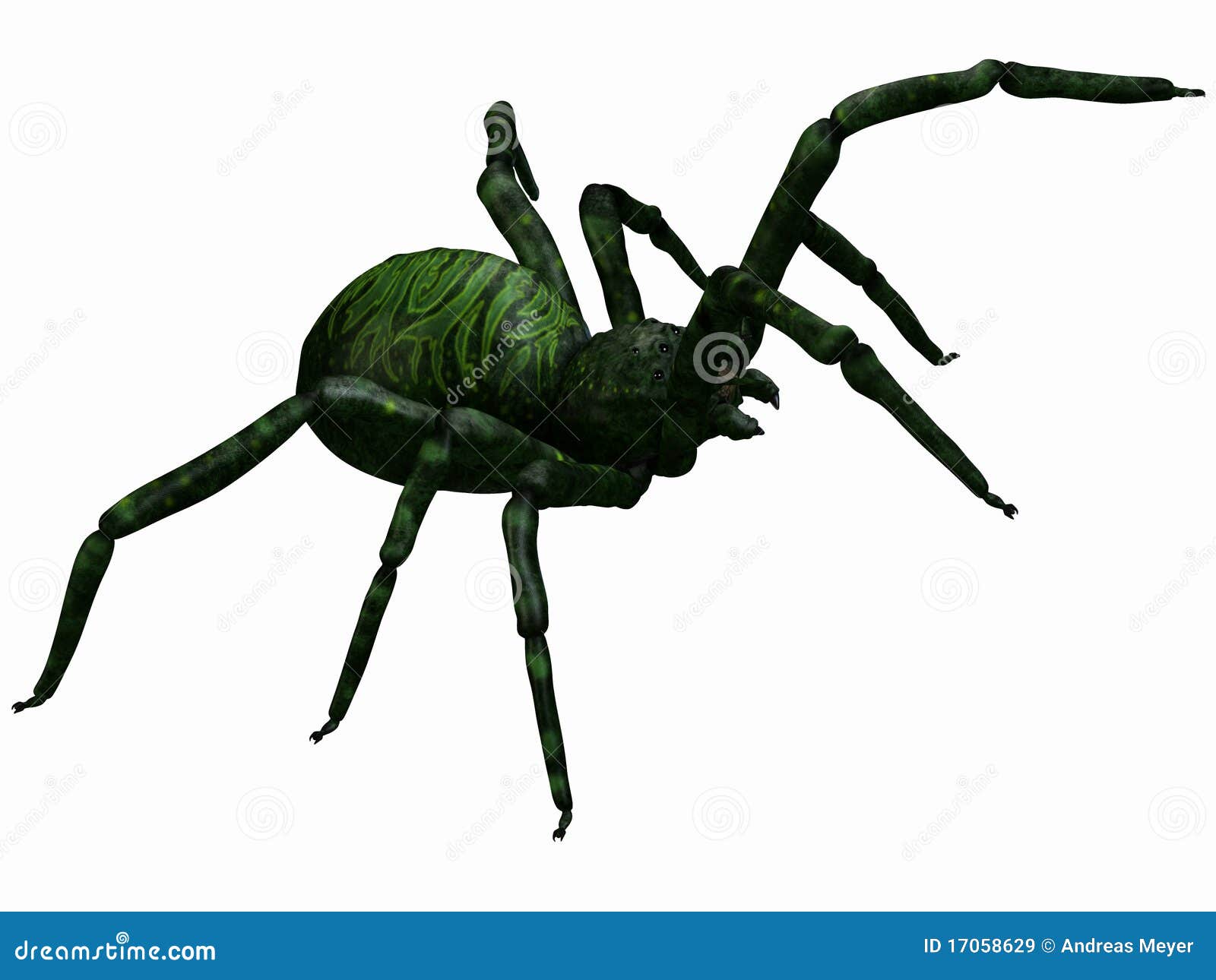 Fantasy Spider With Shadow On The Floor - Sideview From Left On White ...