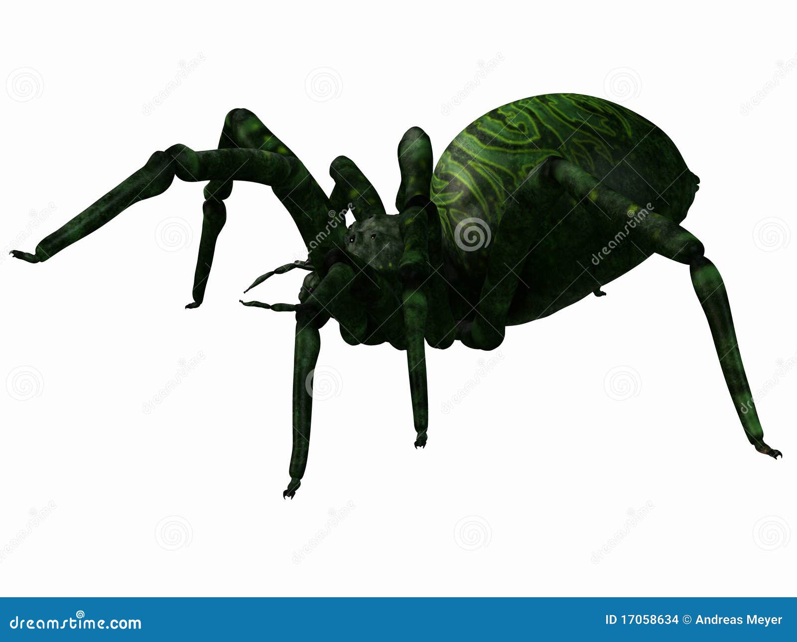 Fantasy Spider With Shadow On The Floor - Sideview From Left On White ...