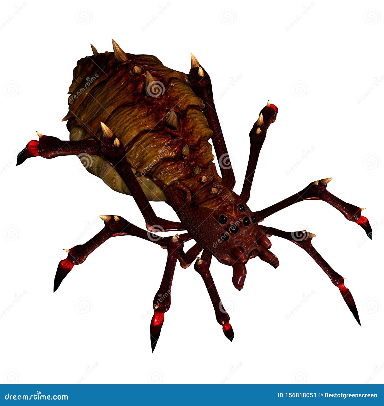 Fantasy Spider With Shadow On The Floor - Sideview From Left On White ...