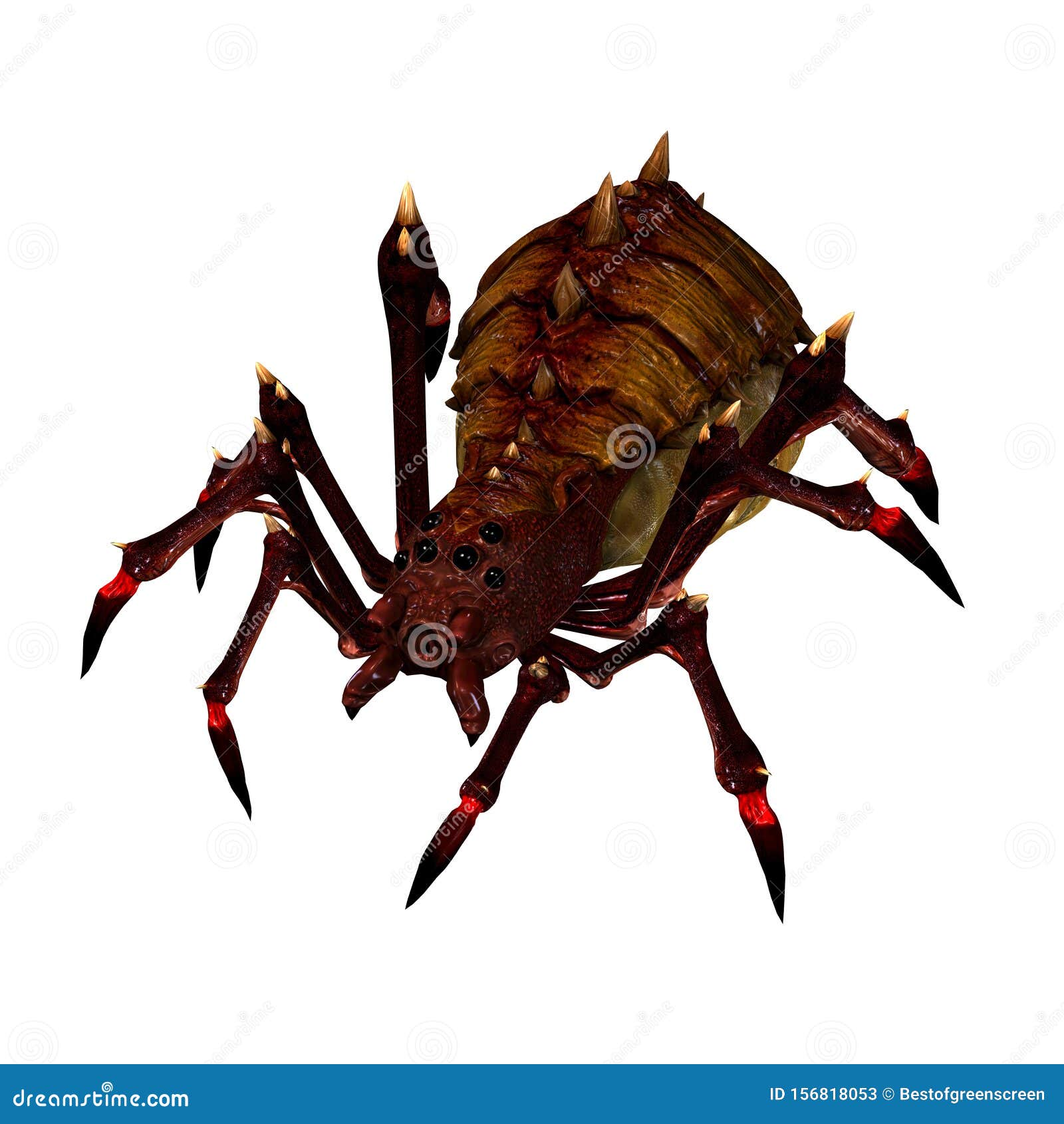 Fantasy Spider With Shadow On The Floor - Sideview From Left On White ...