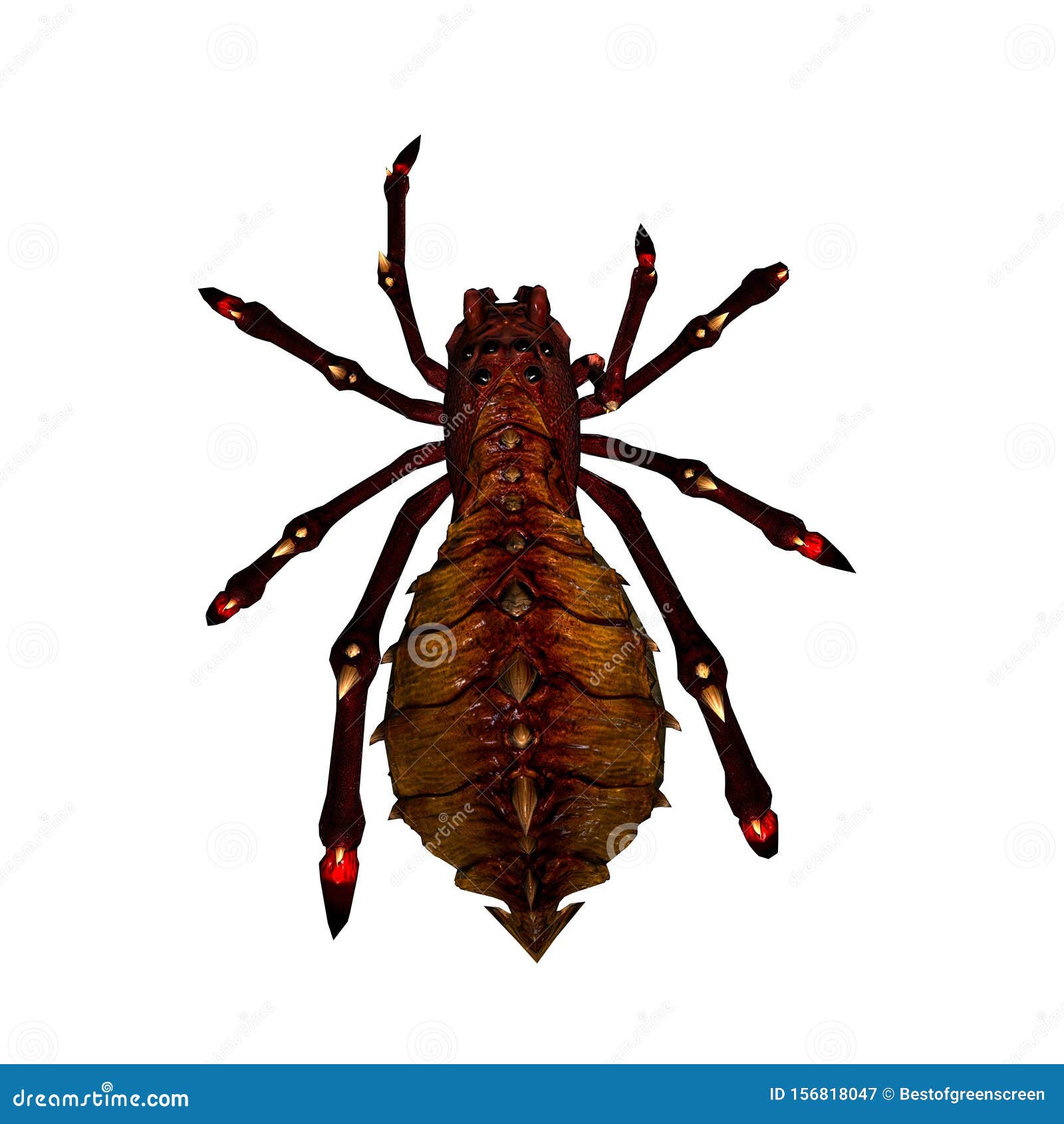 Fantasy Spider With Shadow On The Floor - Sideview From Left On White ...