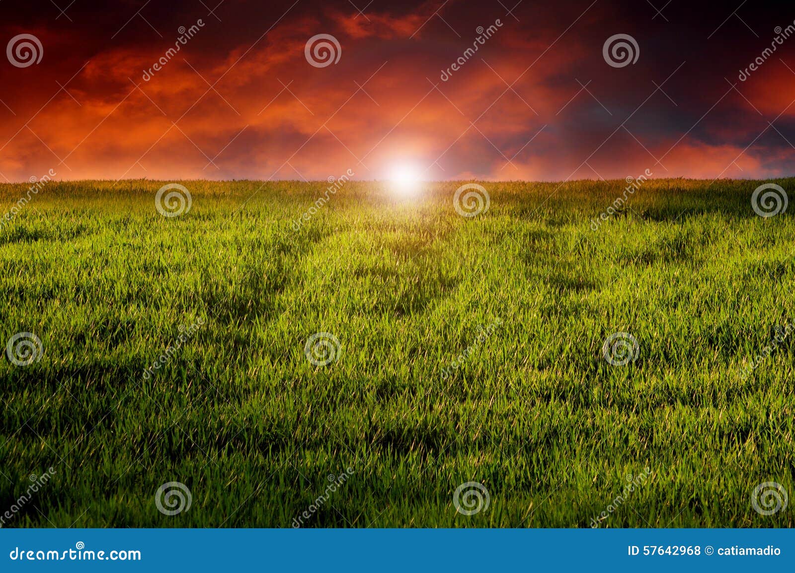 Fantasy sunset over meadow stock photo. Image of bright - 57642968
