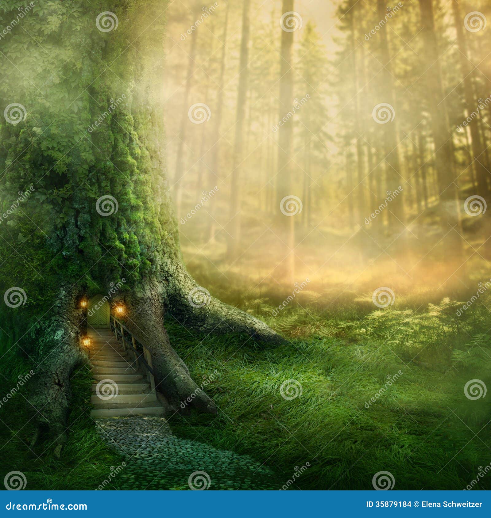 Fantasy Old Tree Roots Nature Stock Photography | CartoonDealer.com ...