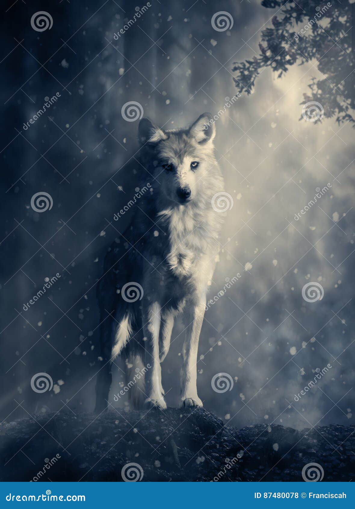 Fantasy wolf in the forest stock illustration. Illustration of trees ...