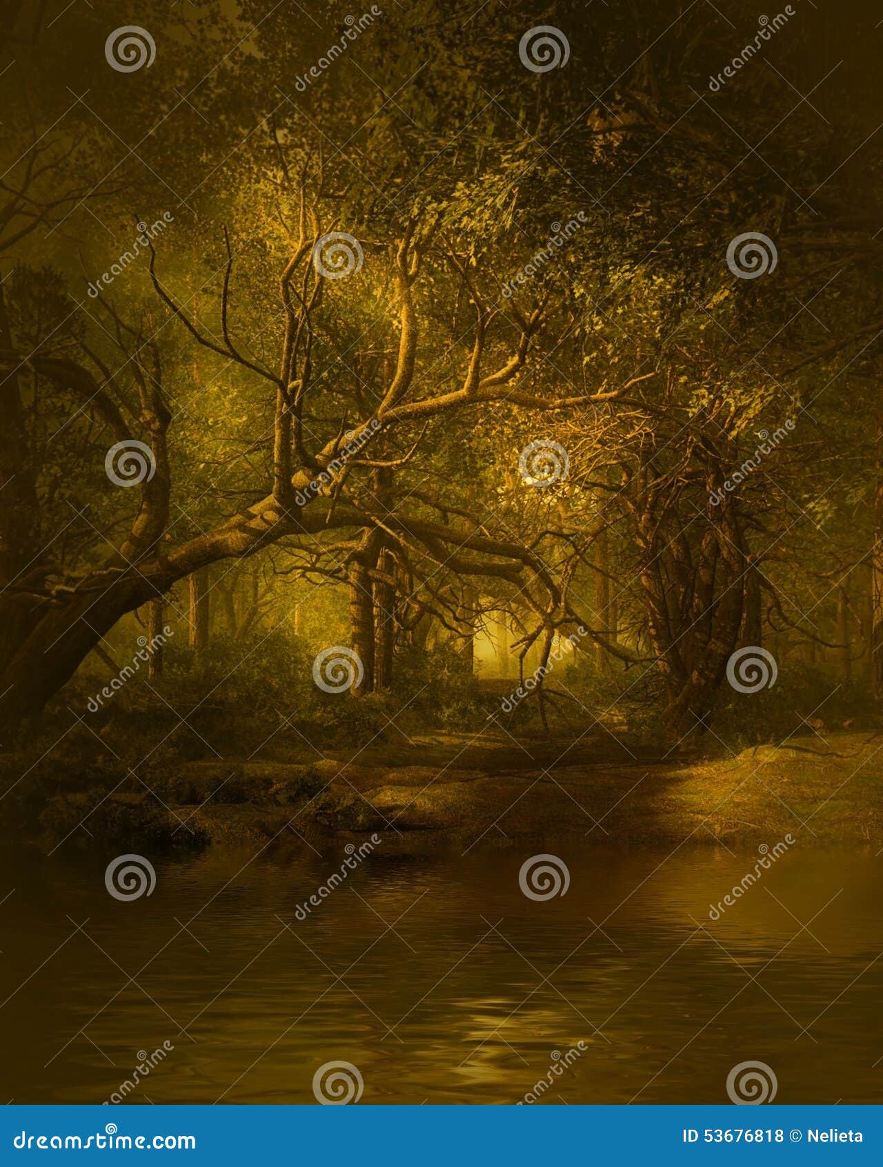 Fantasy Wood Elf Princess And Her Three Mythical Dragons In An ...