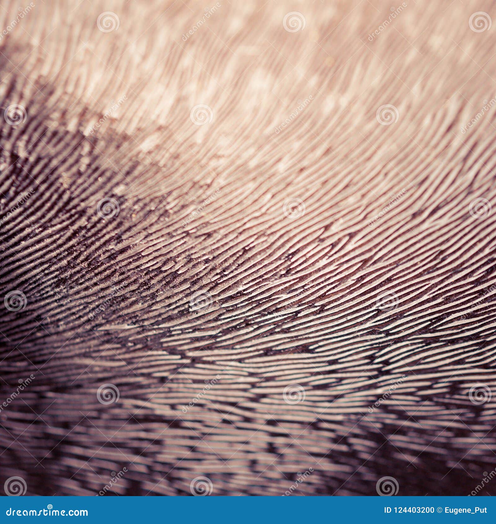 Embossed Glass Background. Corrugated Glass Monochrome. Refraction Of ...