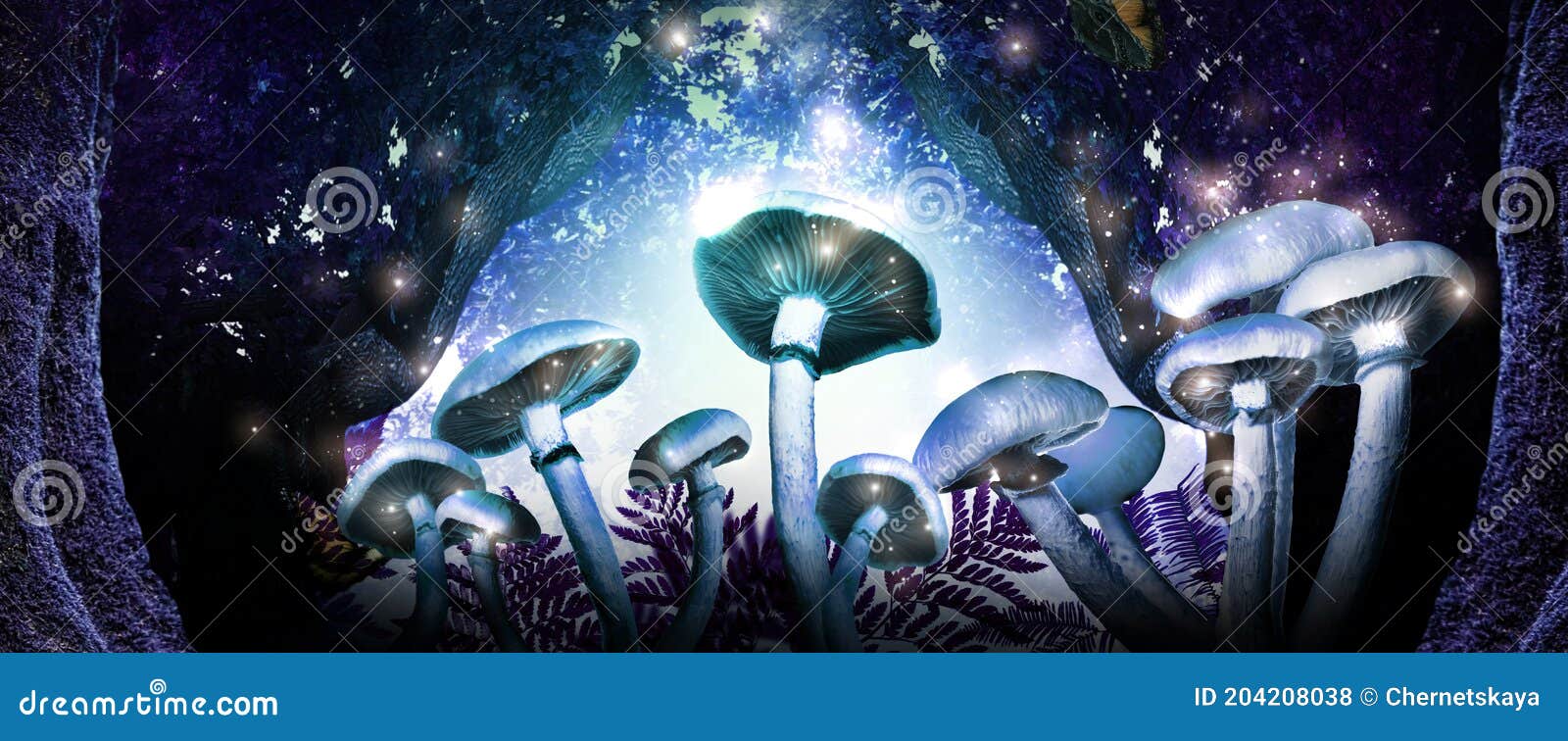 Fantasy World. Mushrooms with Magic Lights in Enchanted Forest, Banner ...