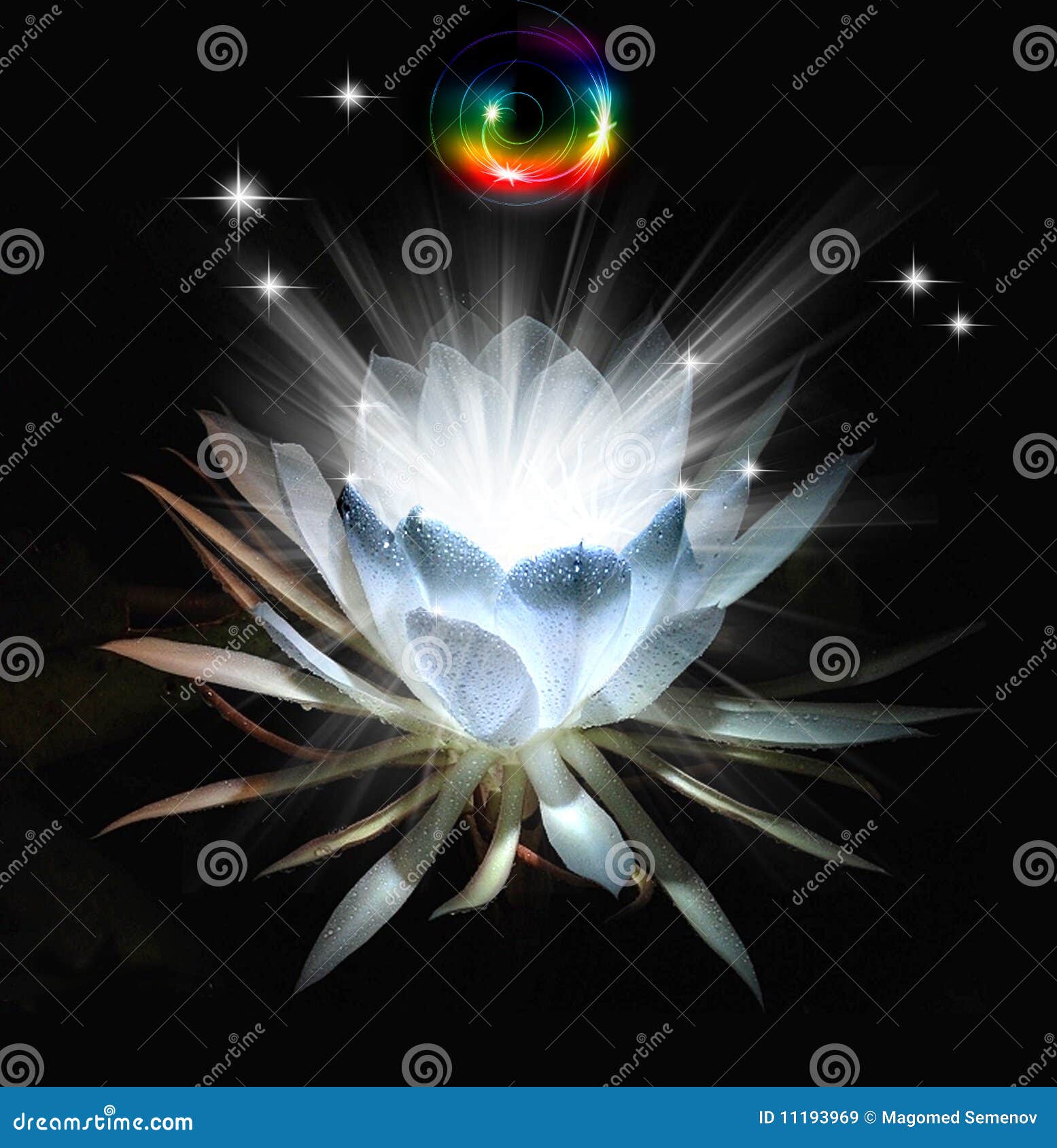 Fantazy flowers stock image. Image of white, luminescence - 11193969