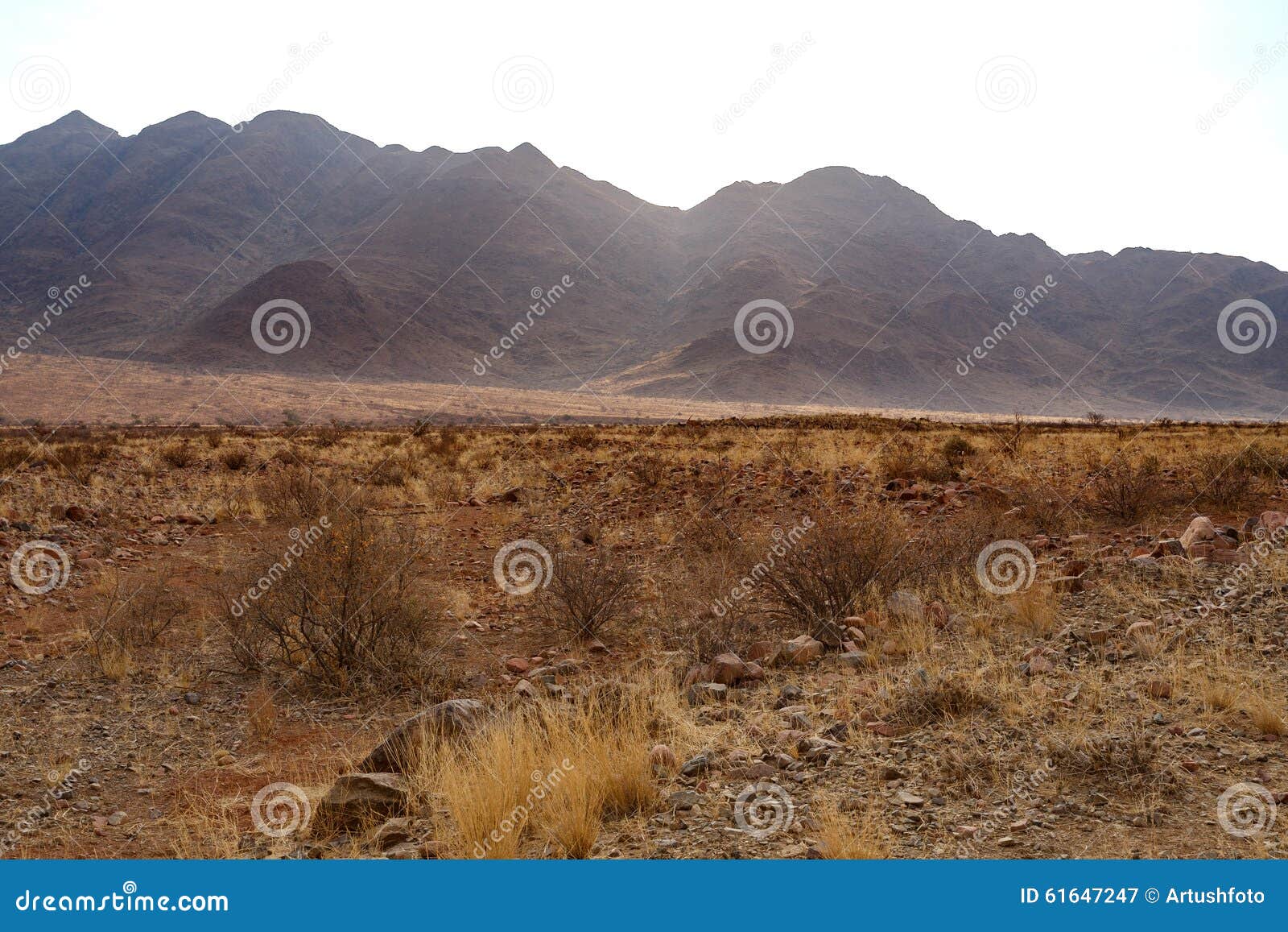 Fantrastic Namibia Desert Landscape Stock Image - Image of nature ...