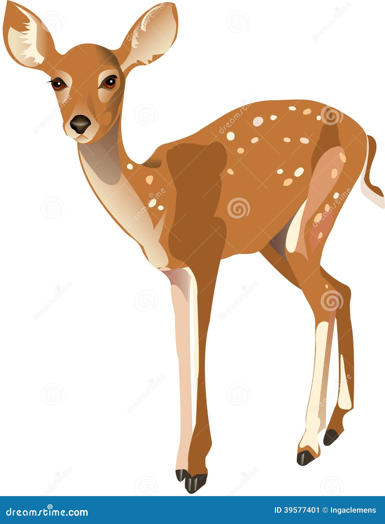 Faon illustration stock. Illustration du stationnement - 39577401