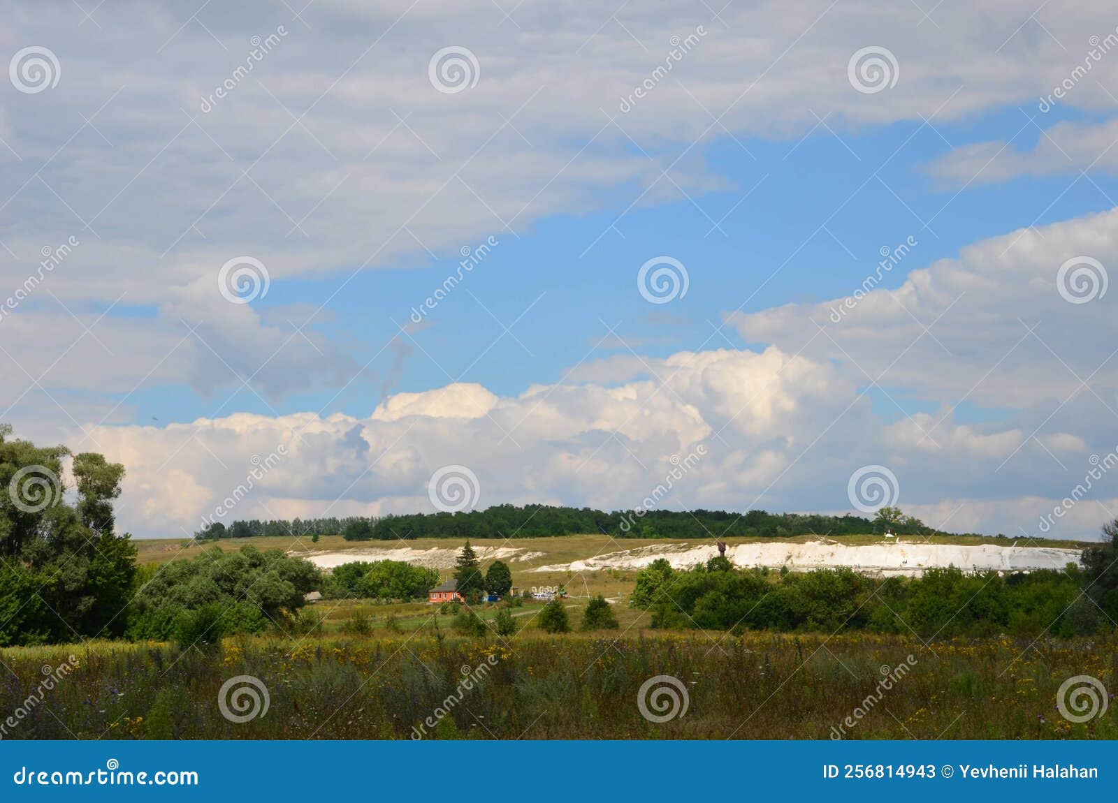 Far forest over the fields stock image. Image of cloud - 256814943