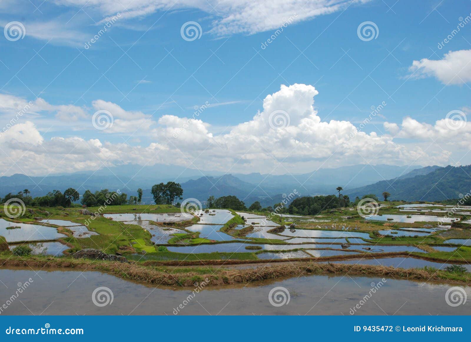 Far Horizon - Beautiful Rice Terraces, Asia Stock Photo - Image of ...