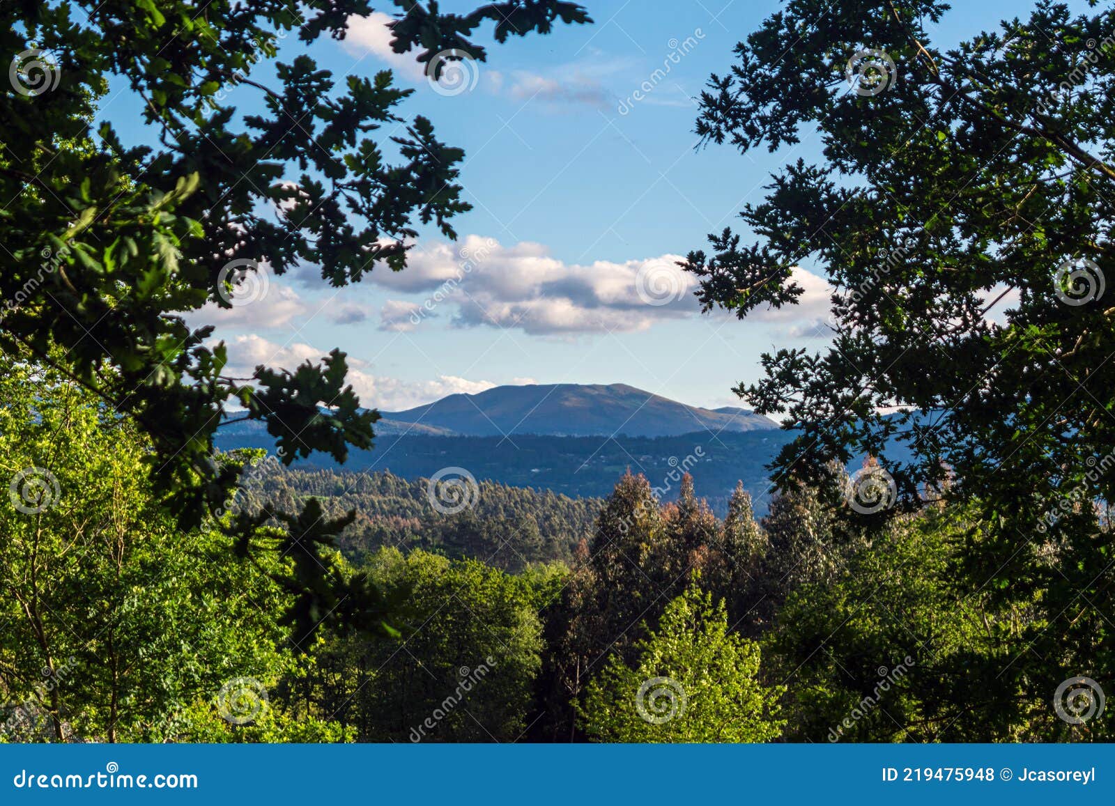 Far Mountain and Sky with Clouds Seen among the Trees Stock Photo ...
