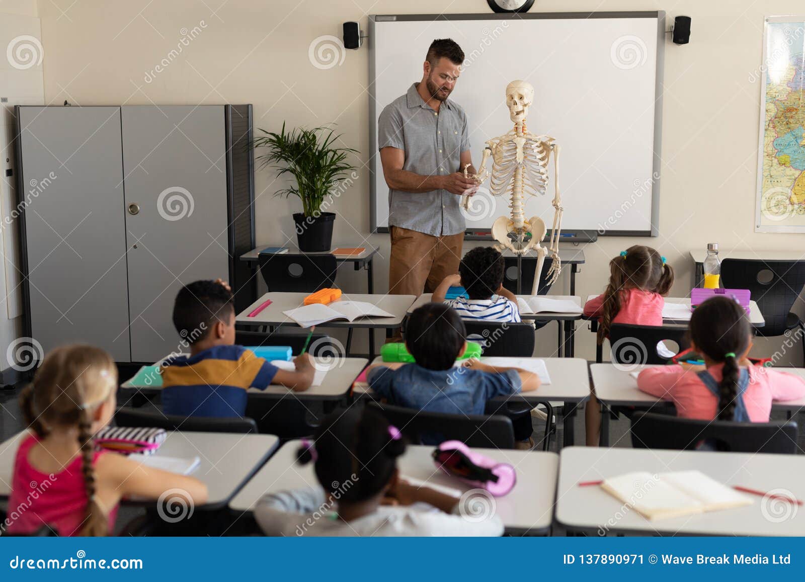 Far Sight of Male Teacher Explaining Human Skeleton Model in Classroom ...