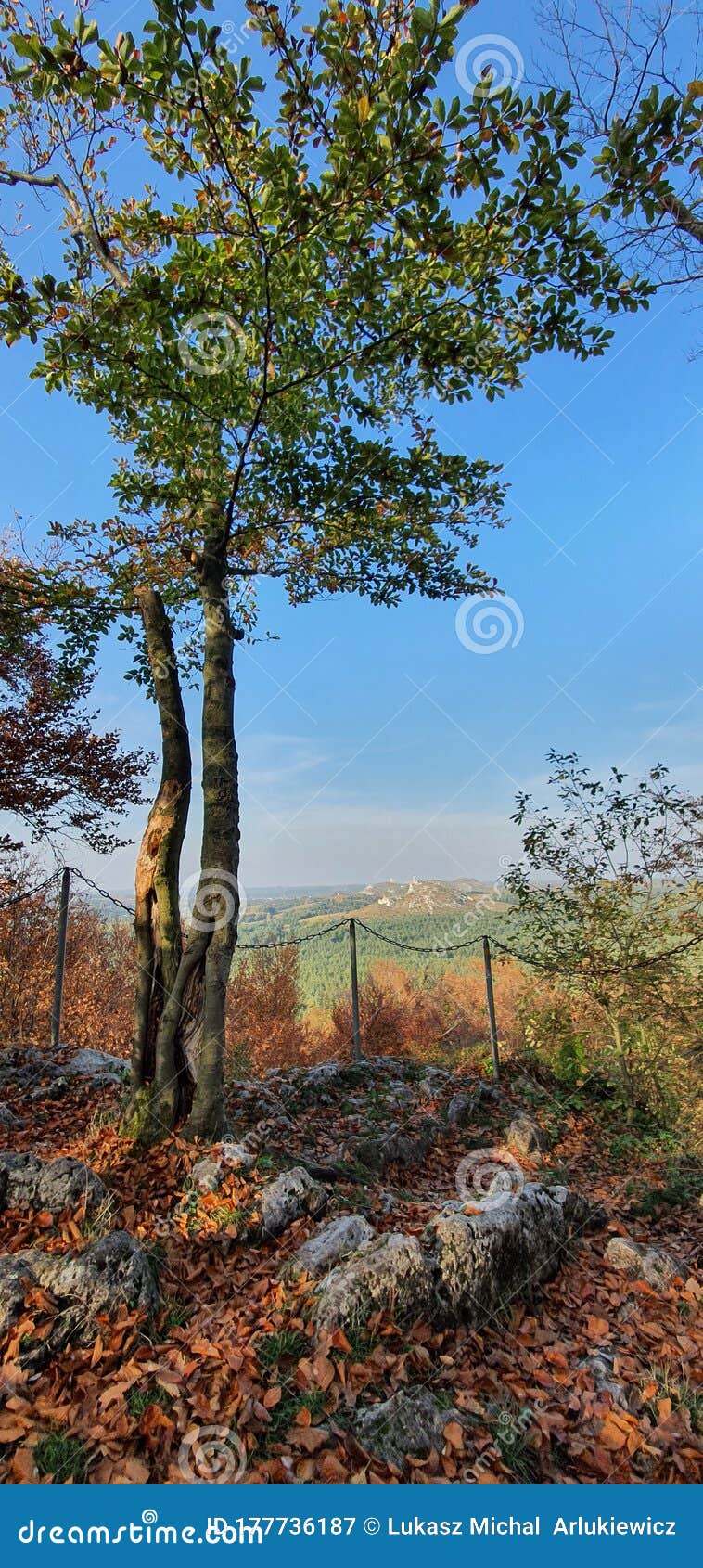 Far view landscape stock image. Image of autumn, grass - 177736187