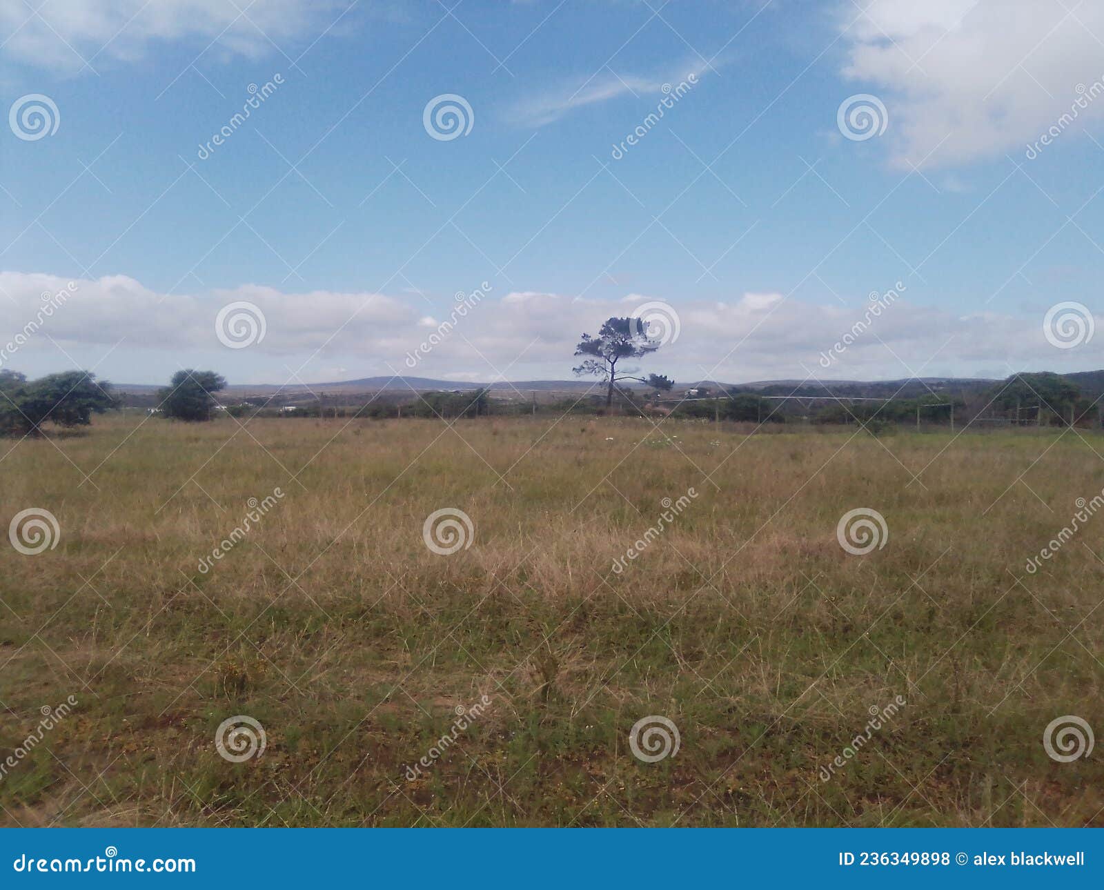 Far view landscape stock photo. Image of agriculture - 236349898