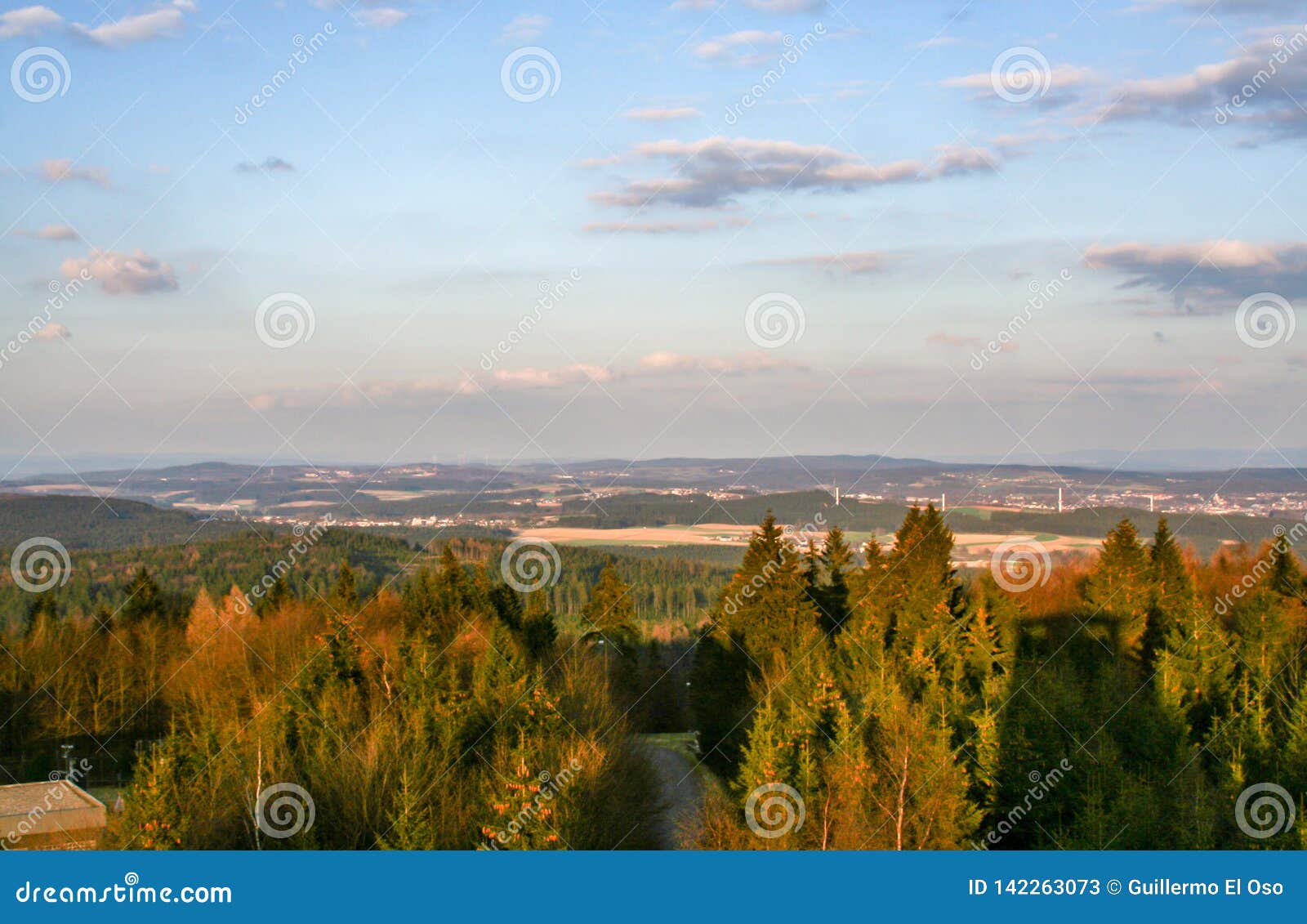 Far View Over the Forest in Bavaria Stock Image - Image of bavaria ...