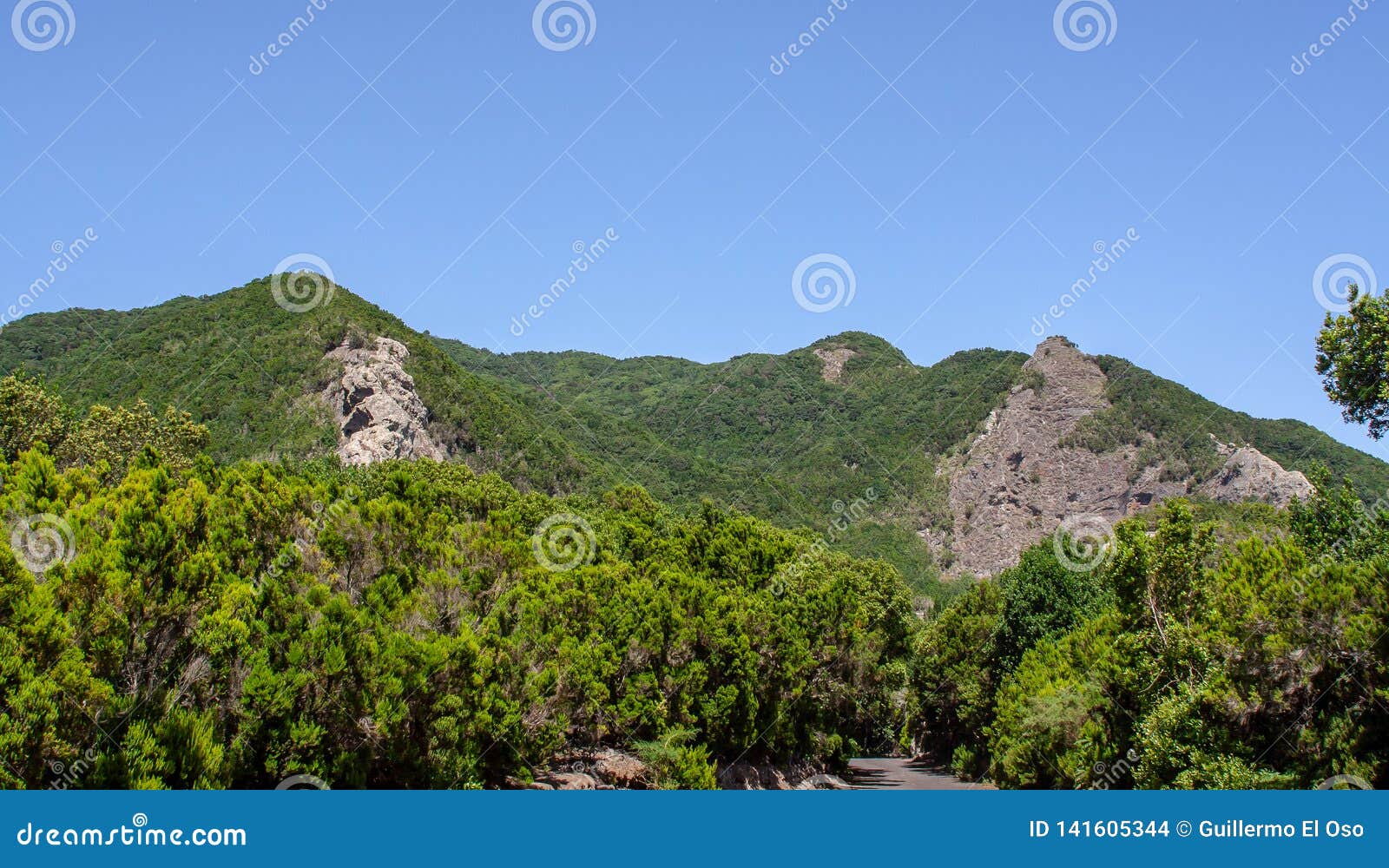 Far View To a Forest with Rocks Stock Photo - Image of leaf, beautiful ...
