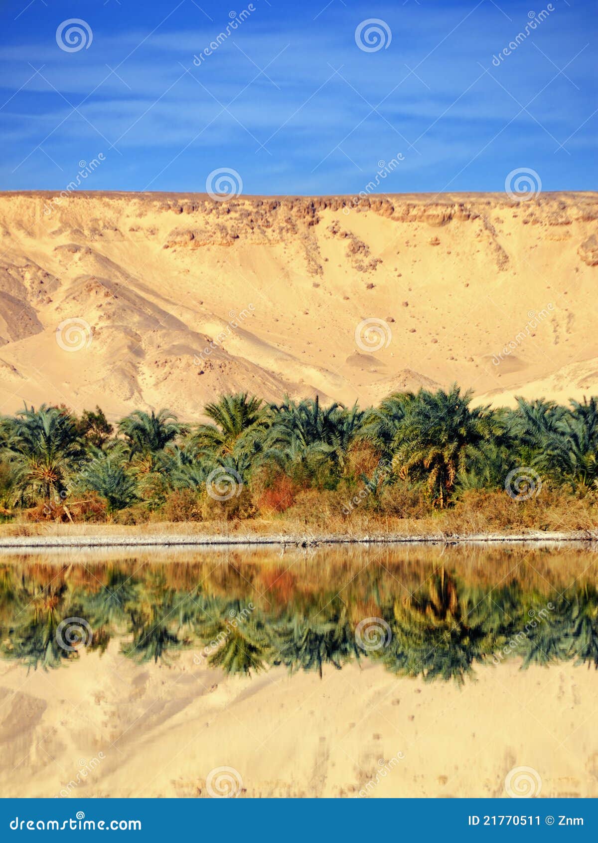 Farafra oasis stock image. Image of farafra, warming - 21770511
