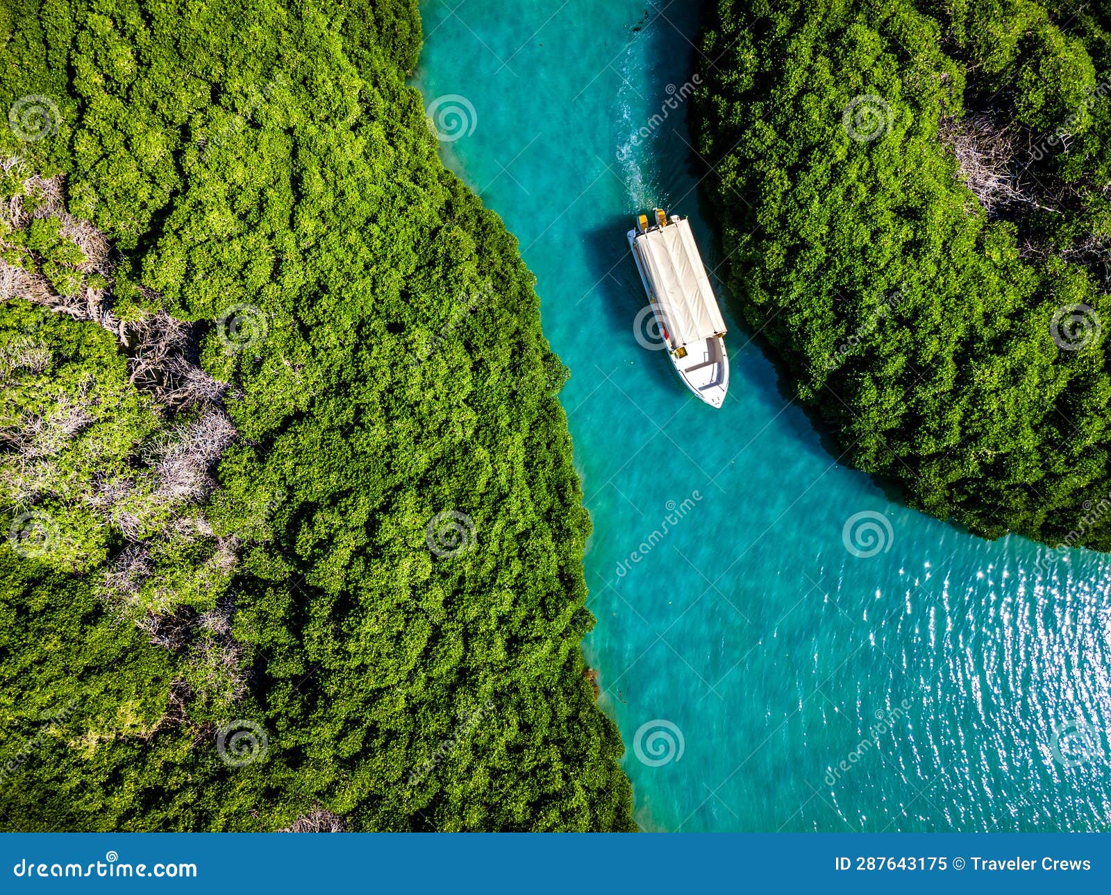 Farasan Island Saudi Arabia Mangrove Stock Image - Image of island ...