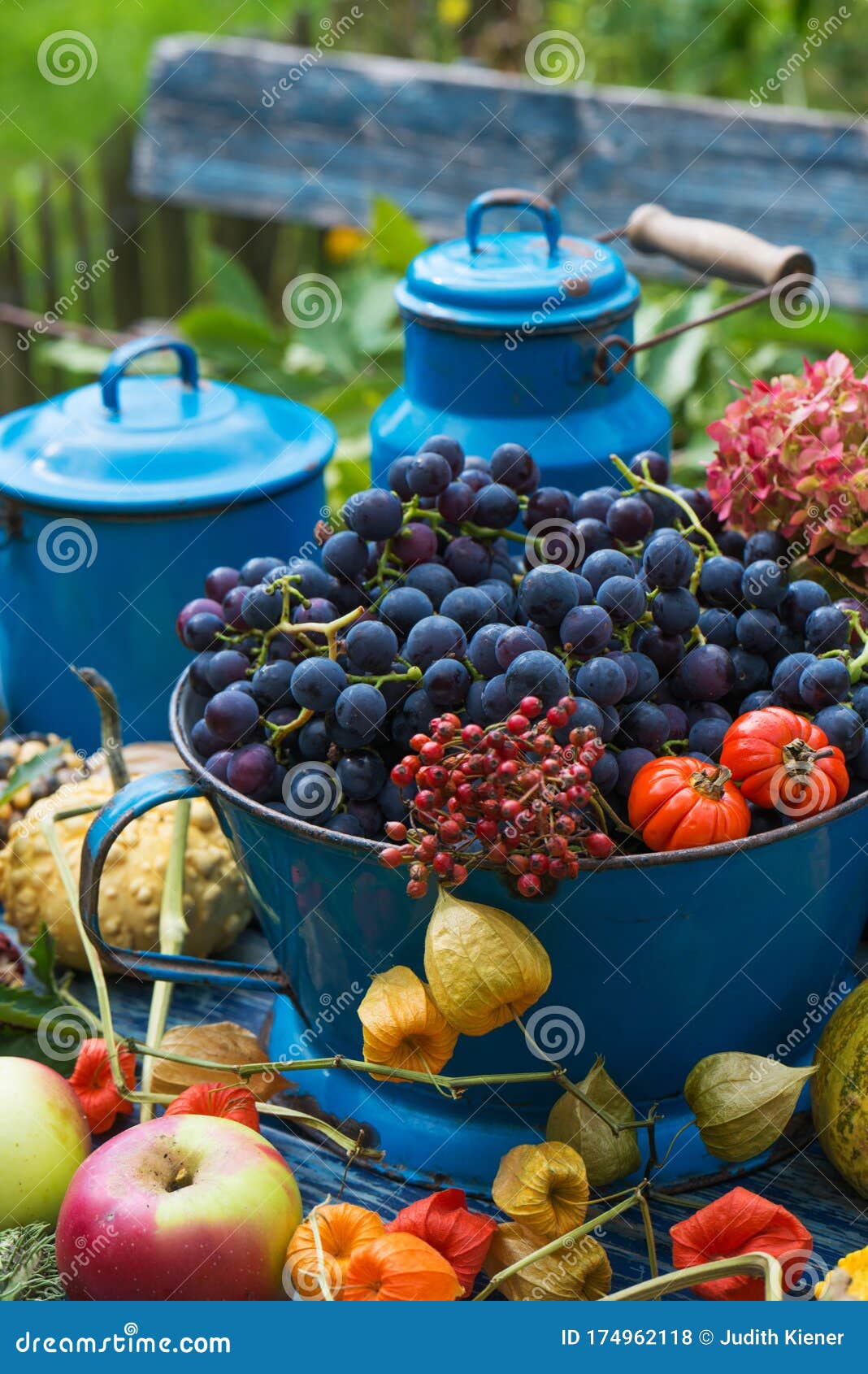 Colorful Harvest Time in the Garden Stock Photo - Image of autumn, copy ...