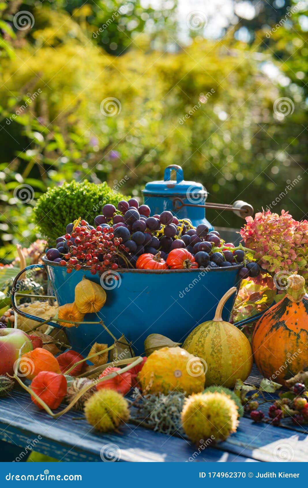 Colorful Harvest Time in the Garden Stock Photo - Image of countryside ...