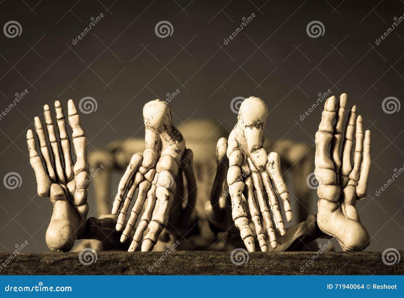 Fare sesso degli scheletri fotografia stock. Immagine di femmina - 71940064