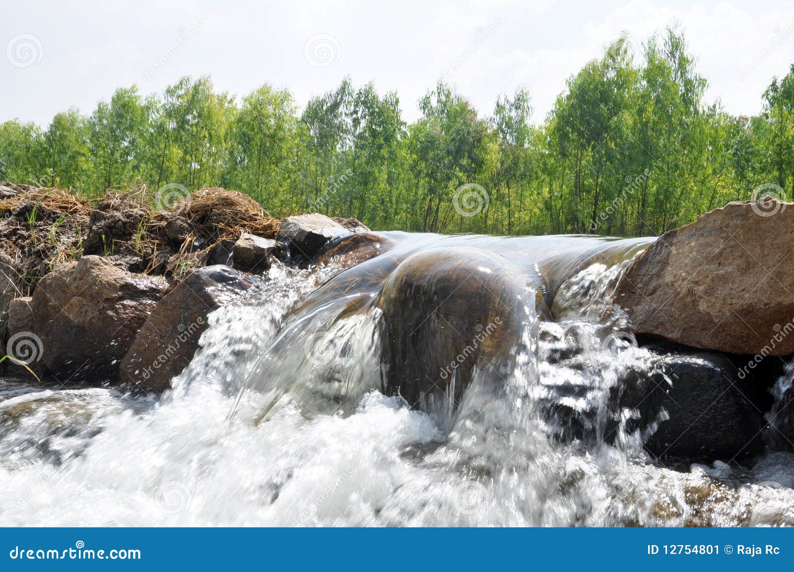 Farest stream stock image. Image of forest, green, refresh - 12754801