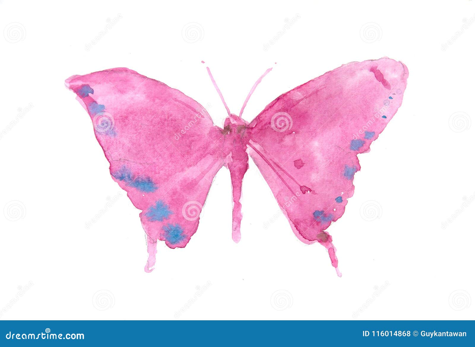 Farfalla Rosa Su Fondo Bianco Illustrazione di Stock - Illustrazione di ...