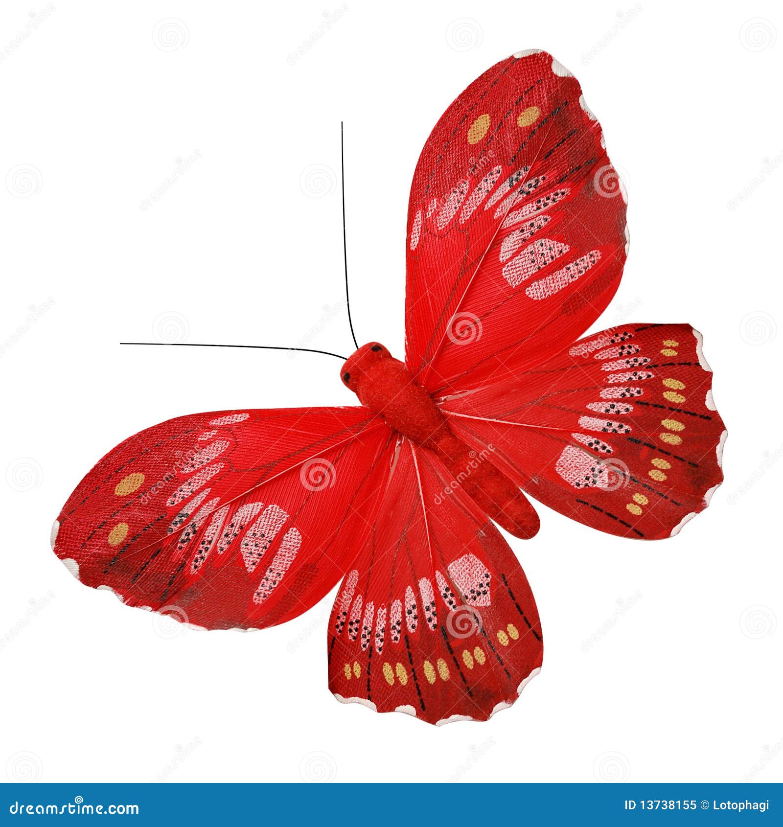 Farfalla rossa immagine stock. Immagine di insetto, eleganza - 13738155