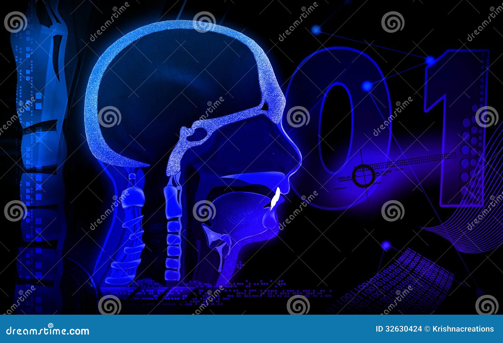 Faringe stock de ilustración. Ilustración de laringe - 32630424