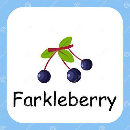 Farkleberry, Flat Design Vector Illustration Clip Art, Illustration for ...