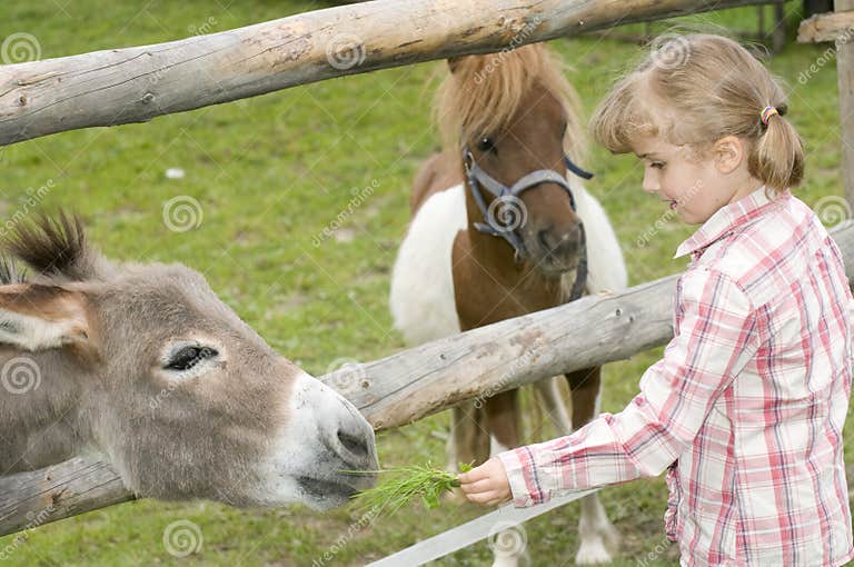 On the farm stock photo. Image of friendship, love, friends - 10351724