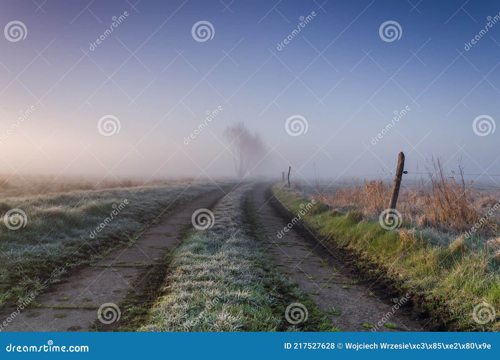 MISTY GRASSLAND stock photo. Image of earth, aura, sunrise - 217527628