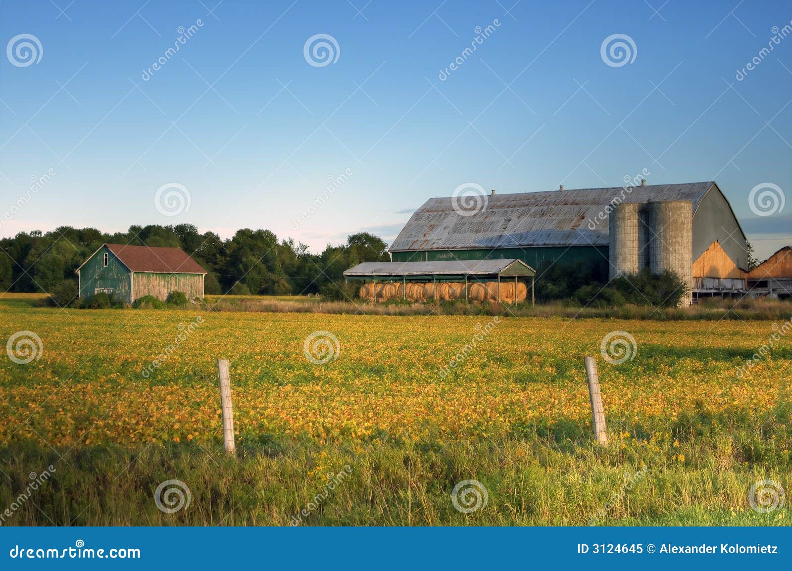 Farm stock image. Image of barn, farmstead, farm, agriculture - 3124645