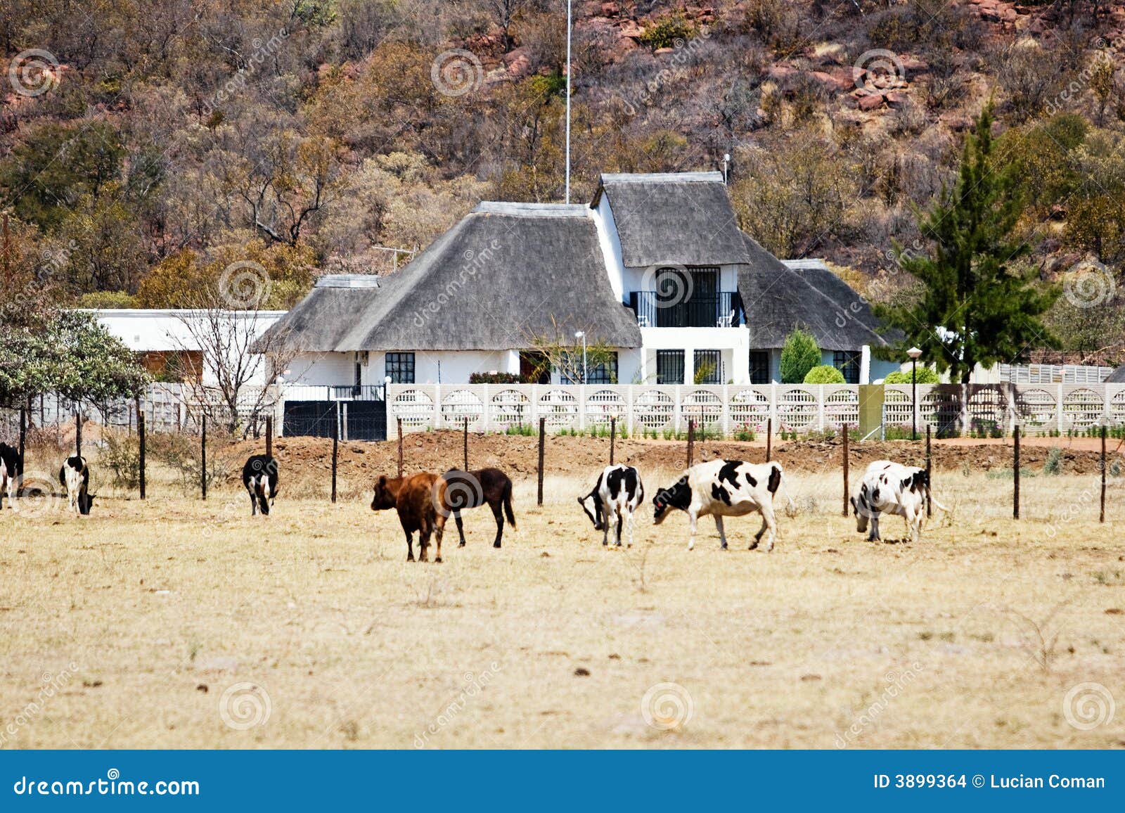 Farm stock photo. Image of botany, building, nature, farm - 3899364